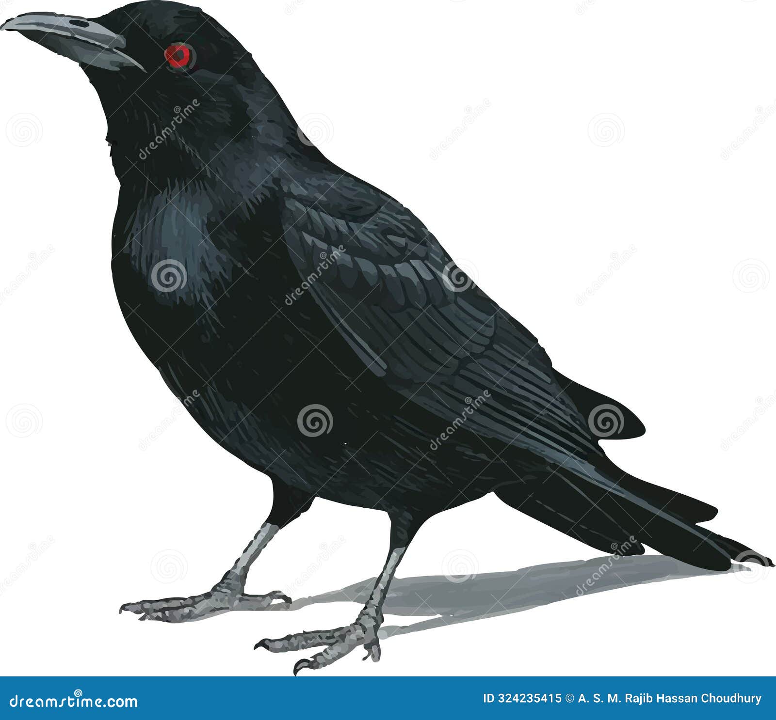 Close-up Photo of a Black Bird with Red Eyes Stock Vector ...