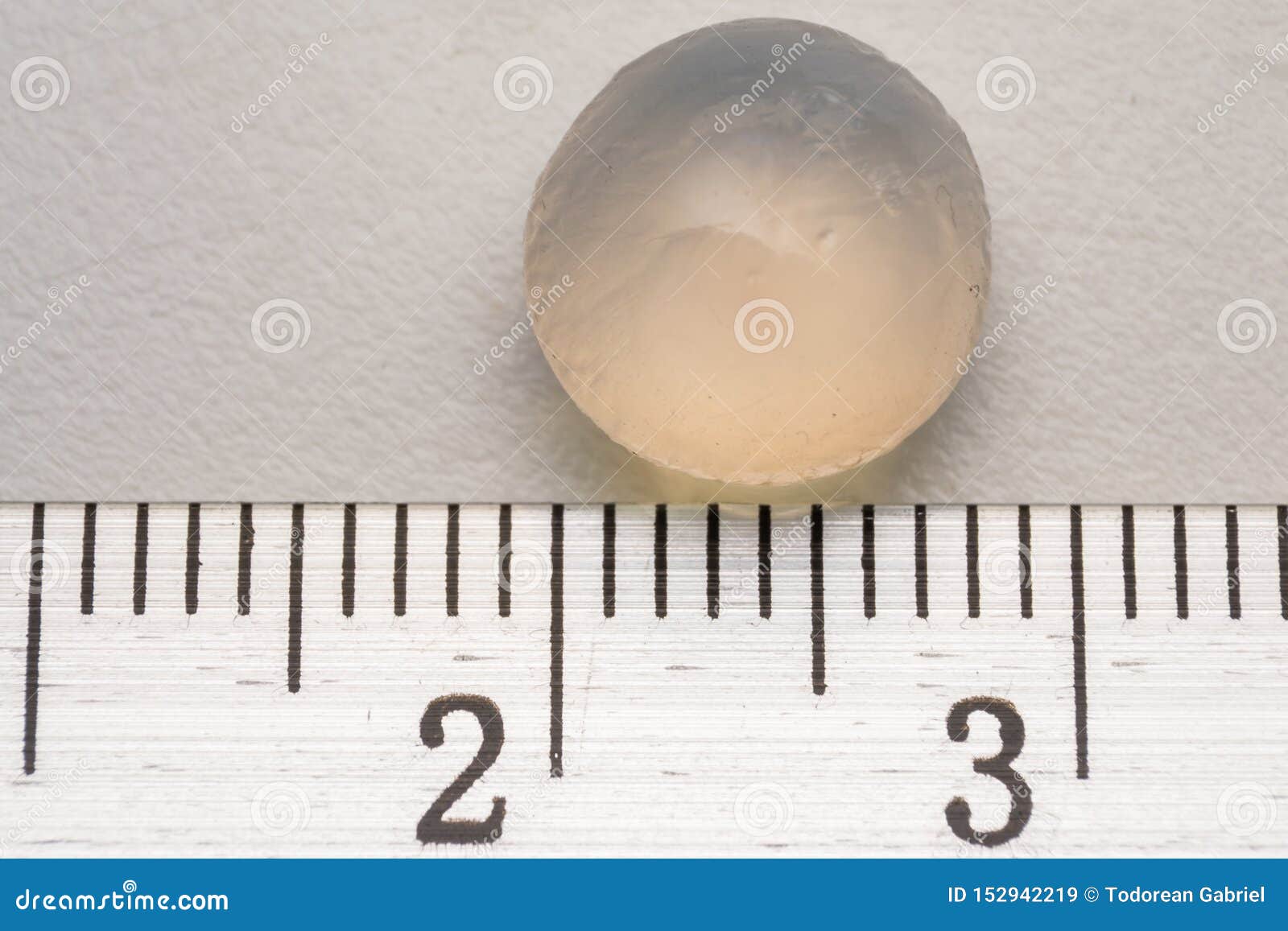 Close-up Photo of a Cat Eye Lens Stock Image - Image of meter, closeup ...