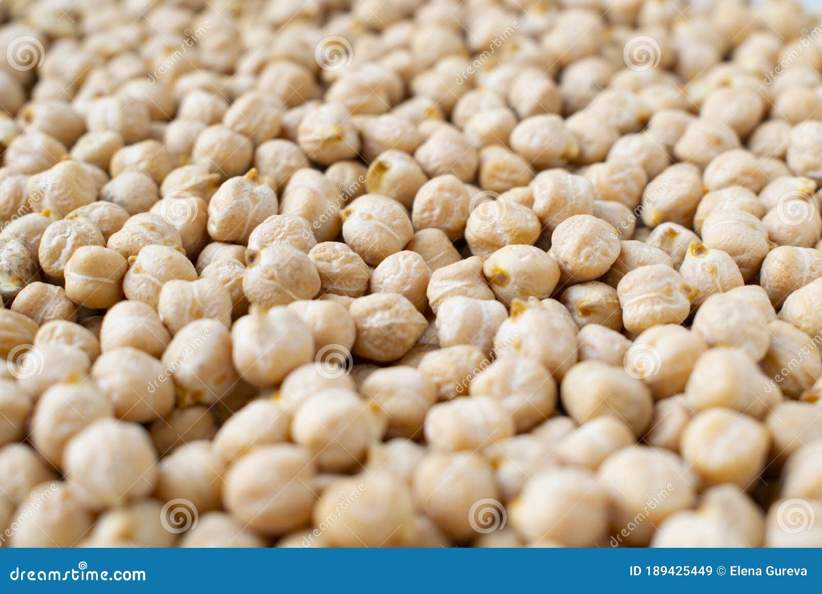 Chickpeas Background. Close Up Photo. Chickpeas Texture. Stock Image ...