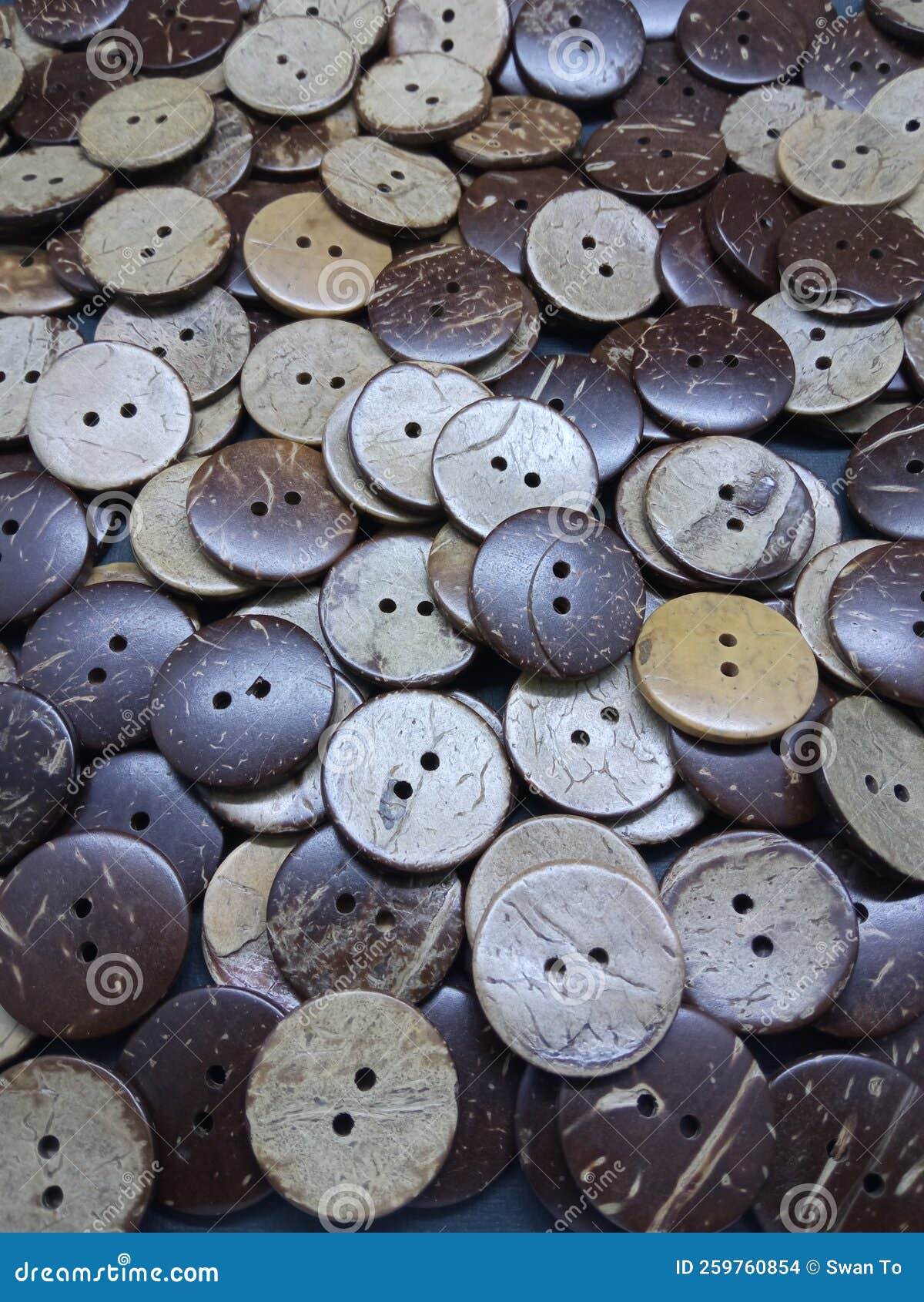 Close-up Photo of Coconut Shell Shirt Button Stock Photo - Image of ...