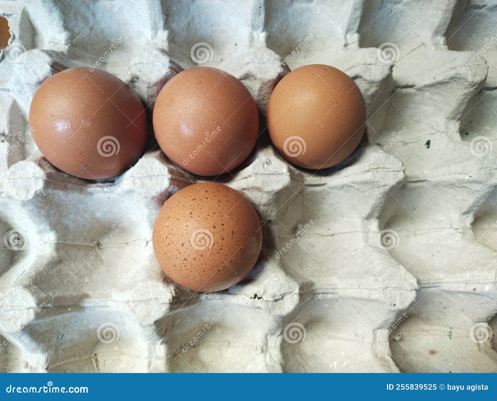 Close-up Photo of Eggs in Egg Container Stock Image - Image of eggs ...
