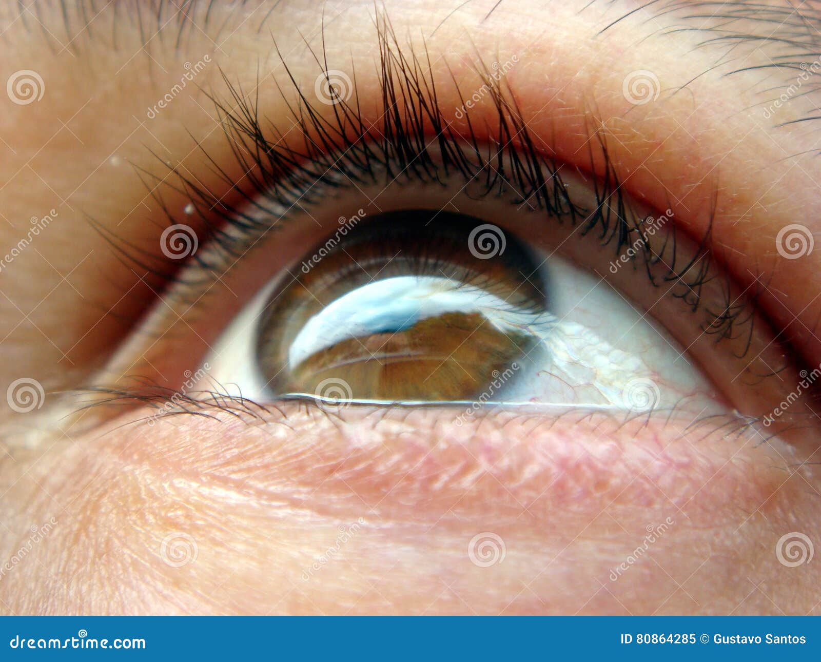 Close up photo of an eye stock image. Image of people - 80864285