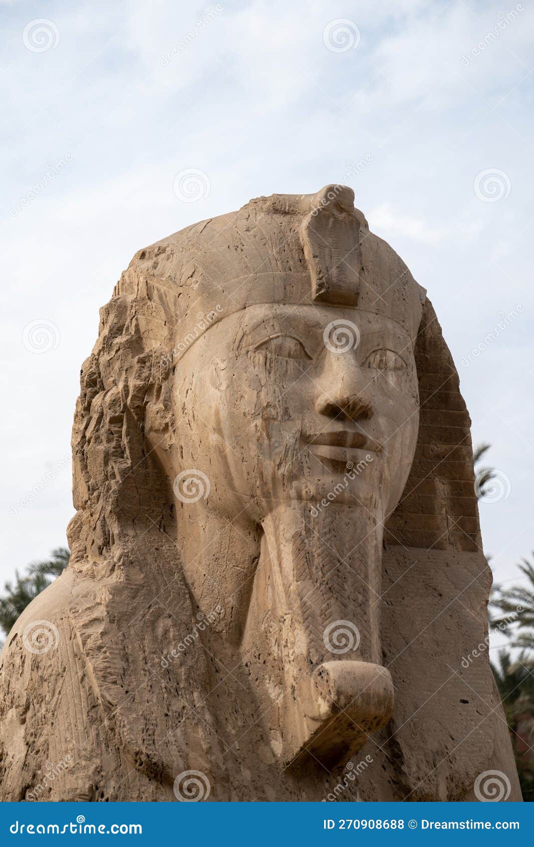 Close Up Photo of a Face of Sphinx Stock Photo - Image of face, travel ...