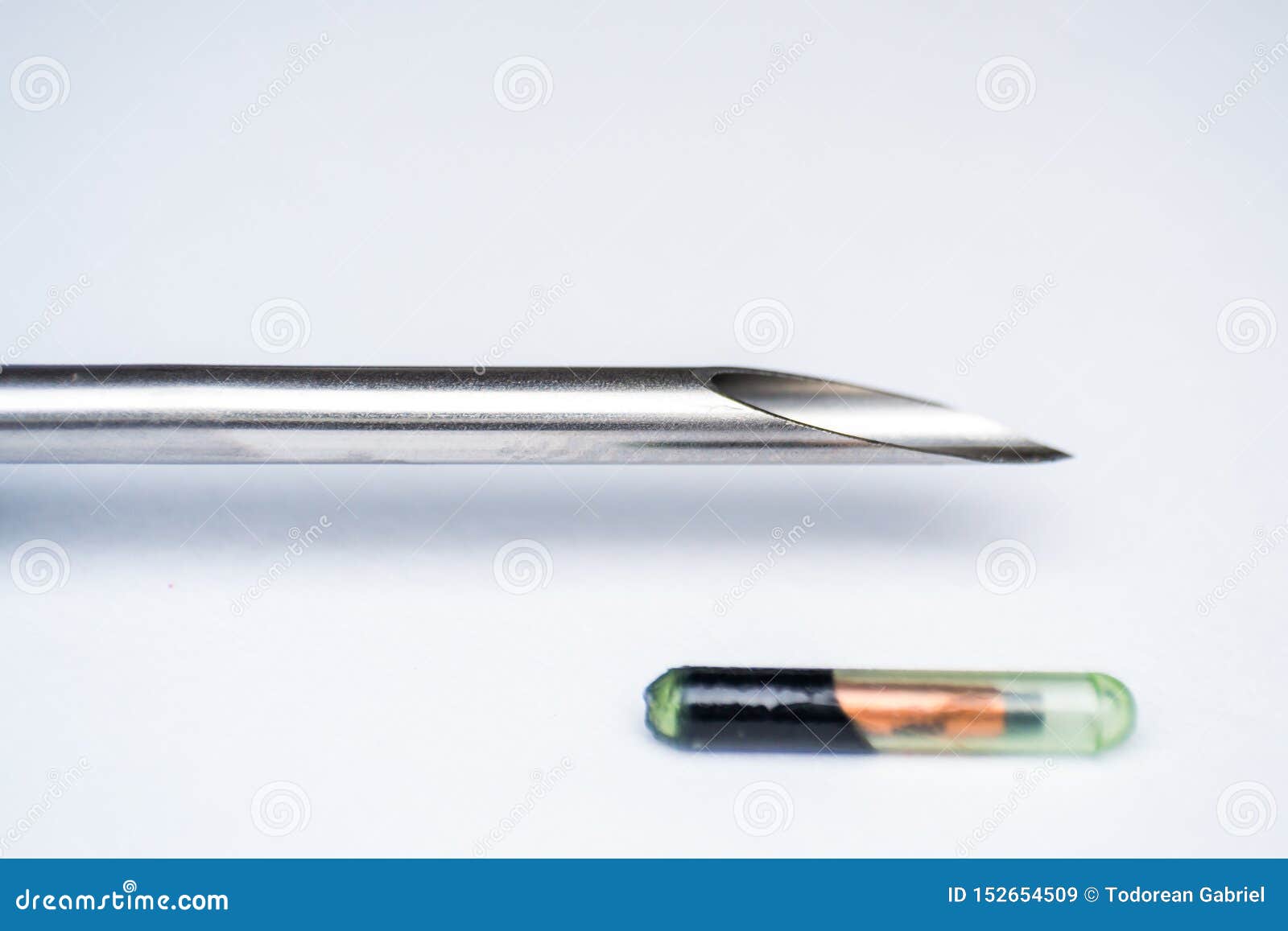 Close-up Photo of a Microchip for Pets Stock Image - Image of cropped ...