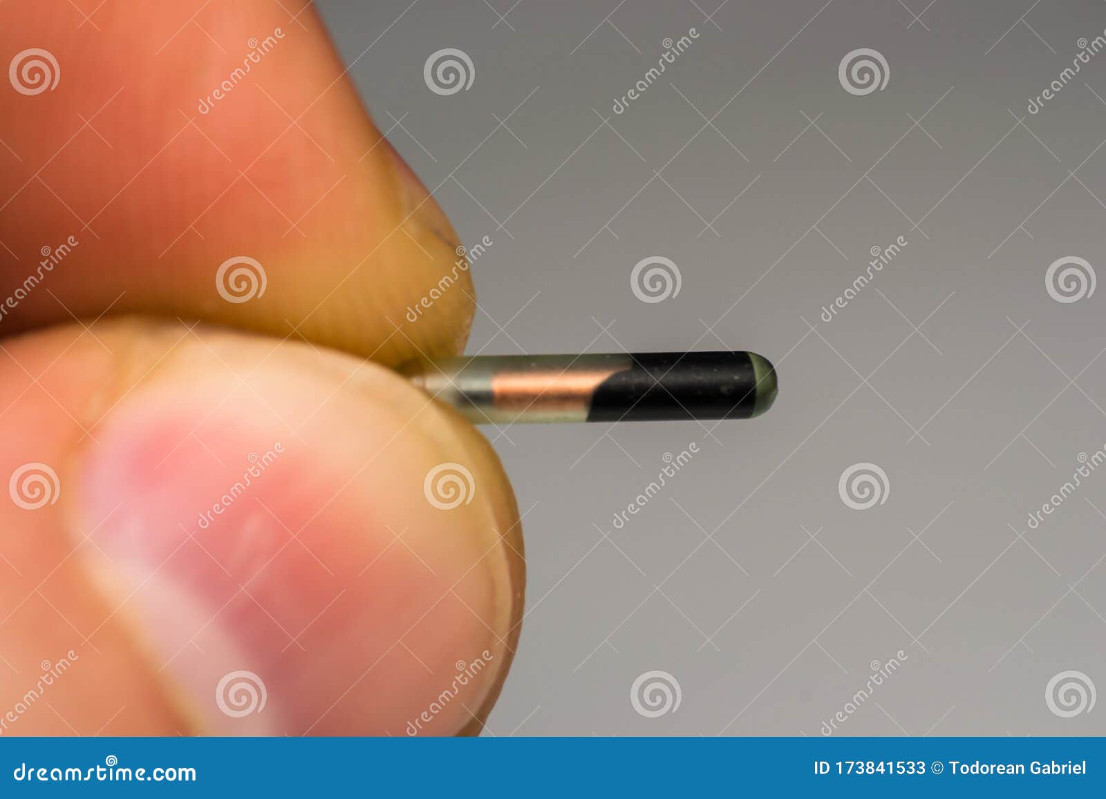 Close-up Photo of a Microchip for Pets on Human Finger Stock Image ...