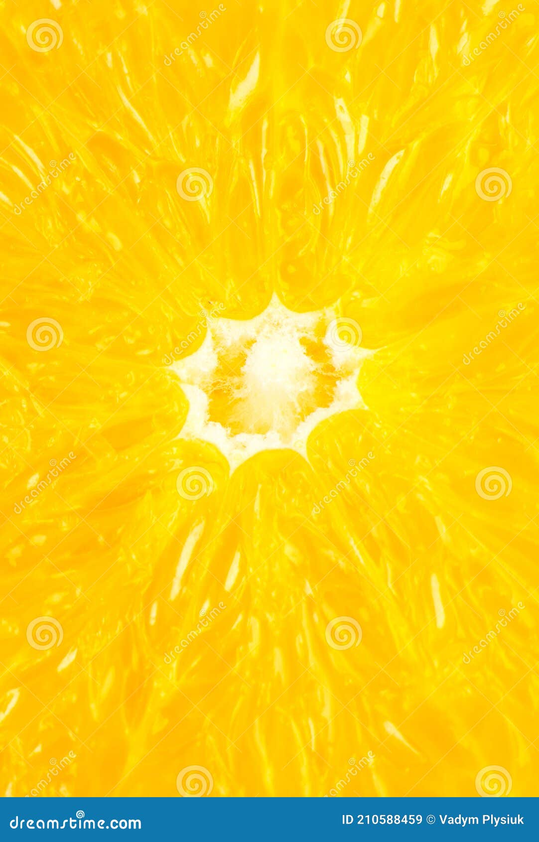 Close Up Photo of Orange on White Background. Oranges Fruit Cut in Half ...