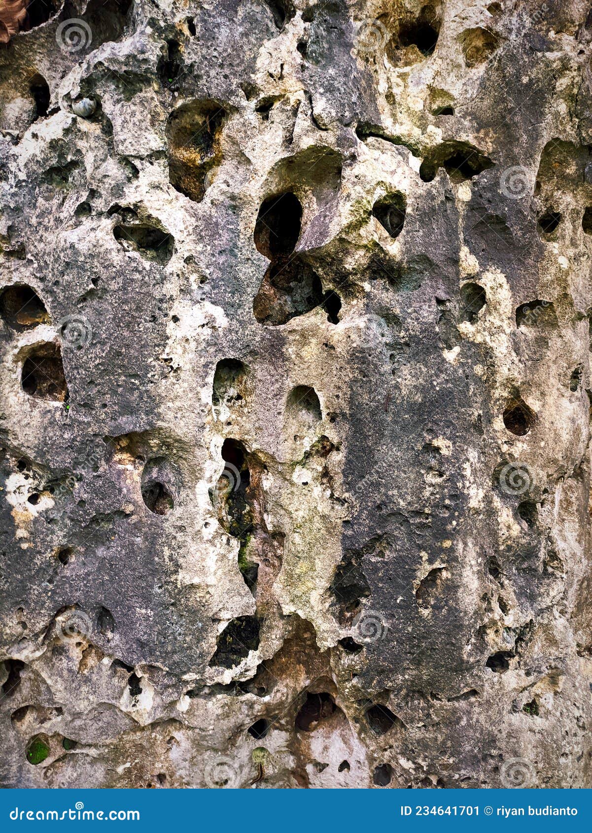 Close-up Photo of Perforated Stone Surface Stock Image - Image of ...