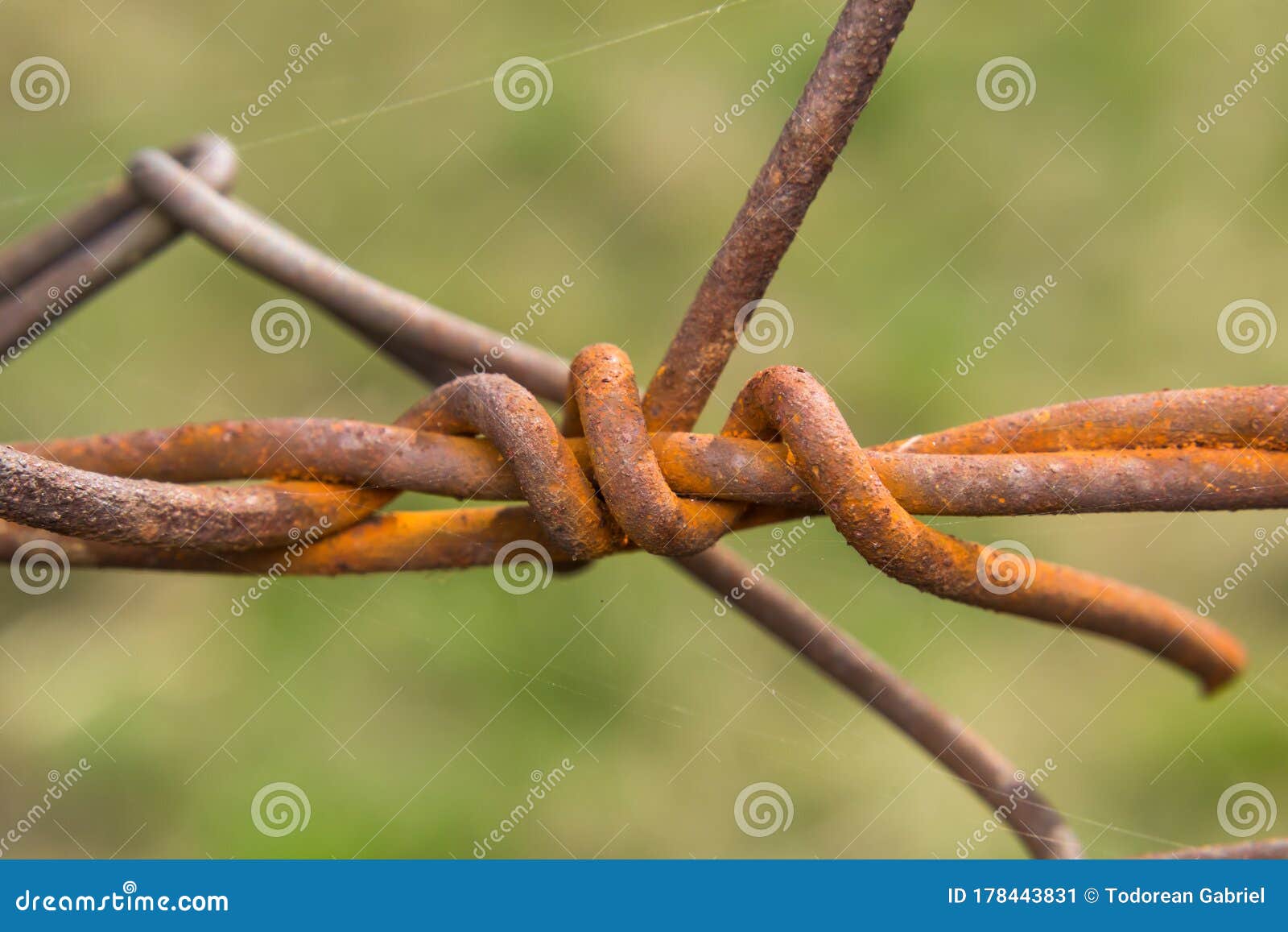 Close-up Photo of a Rusty Wire Stock Image - Image of steel, barbed ...