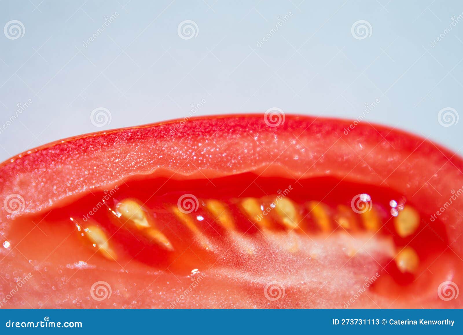 Close Up Photo of the Texture of the Inside of a Tomato Stock Image ...