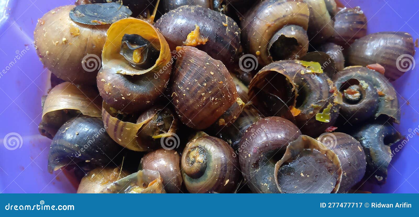 Close Up Of Conch Shell Set For Water Blessing Thai Wedding Decoration ...