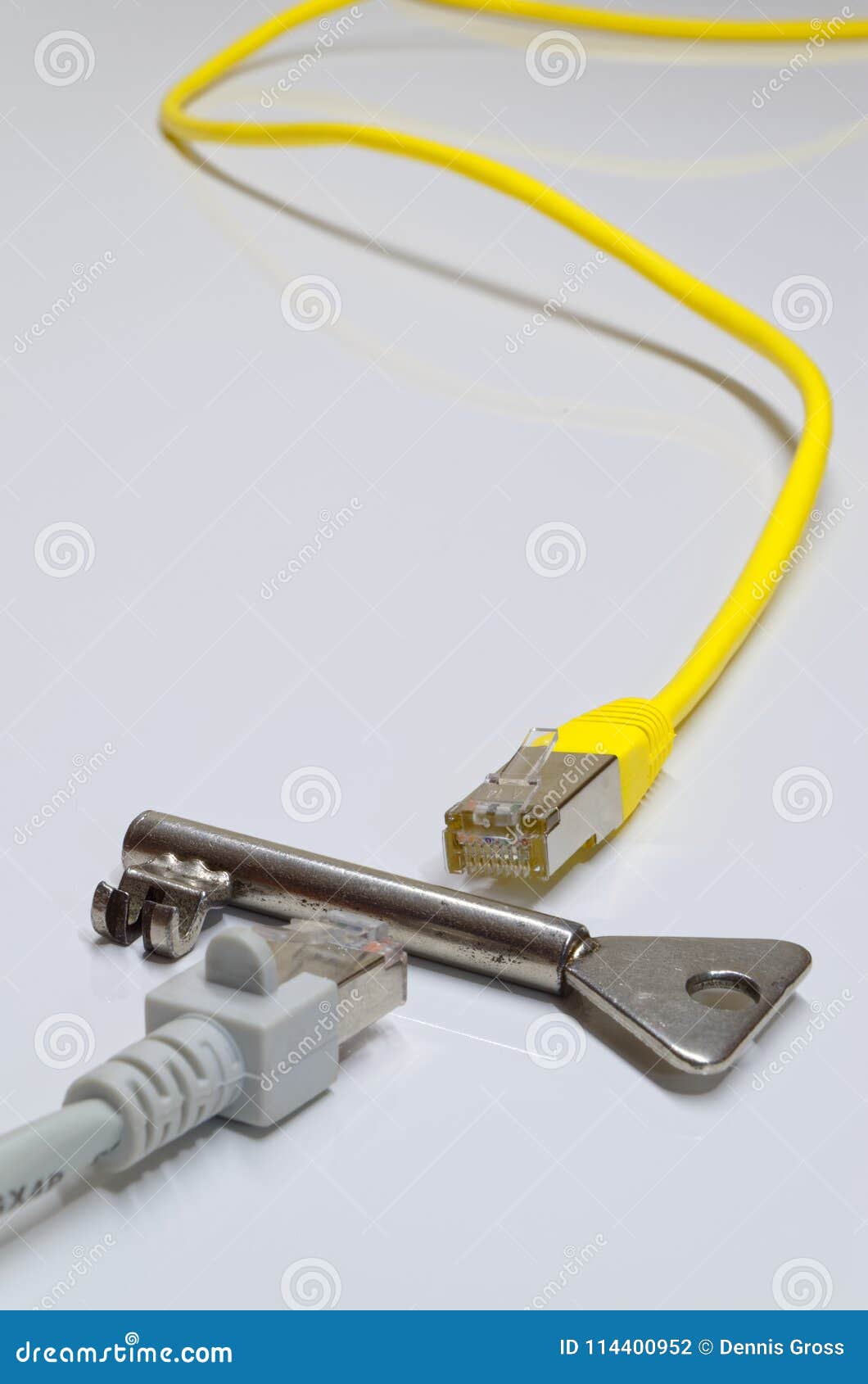 Two Network Connection Plugs Divided by a Key Stock Photo - Image of ...