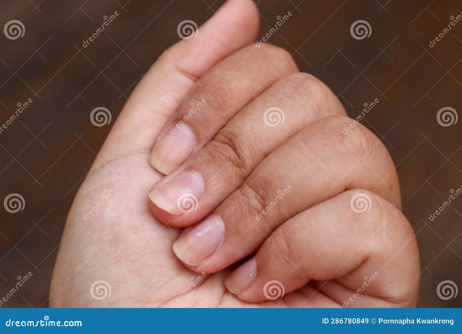 Close-up of a woman hand. stock image. Image of hold - 286780849 Close-up of a woman hand. stock image. Image of hold - 286780849