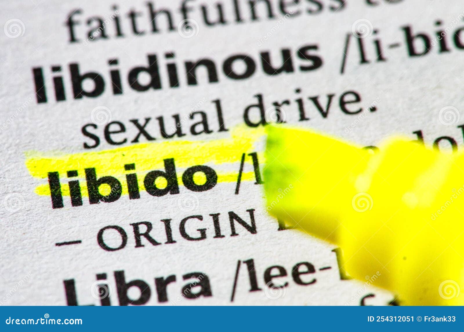 Libido stock image. Image of female, dictionary, close - 254312051