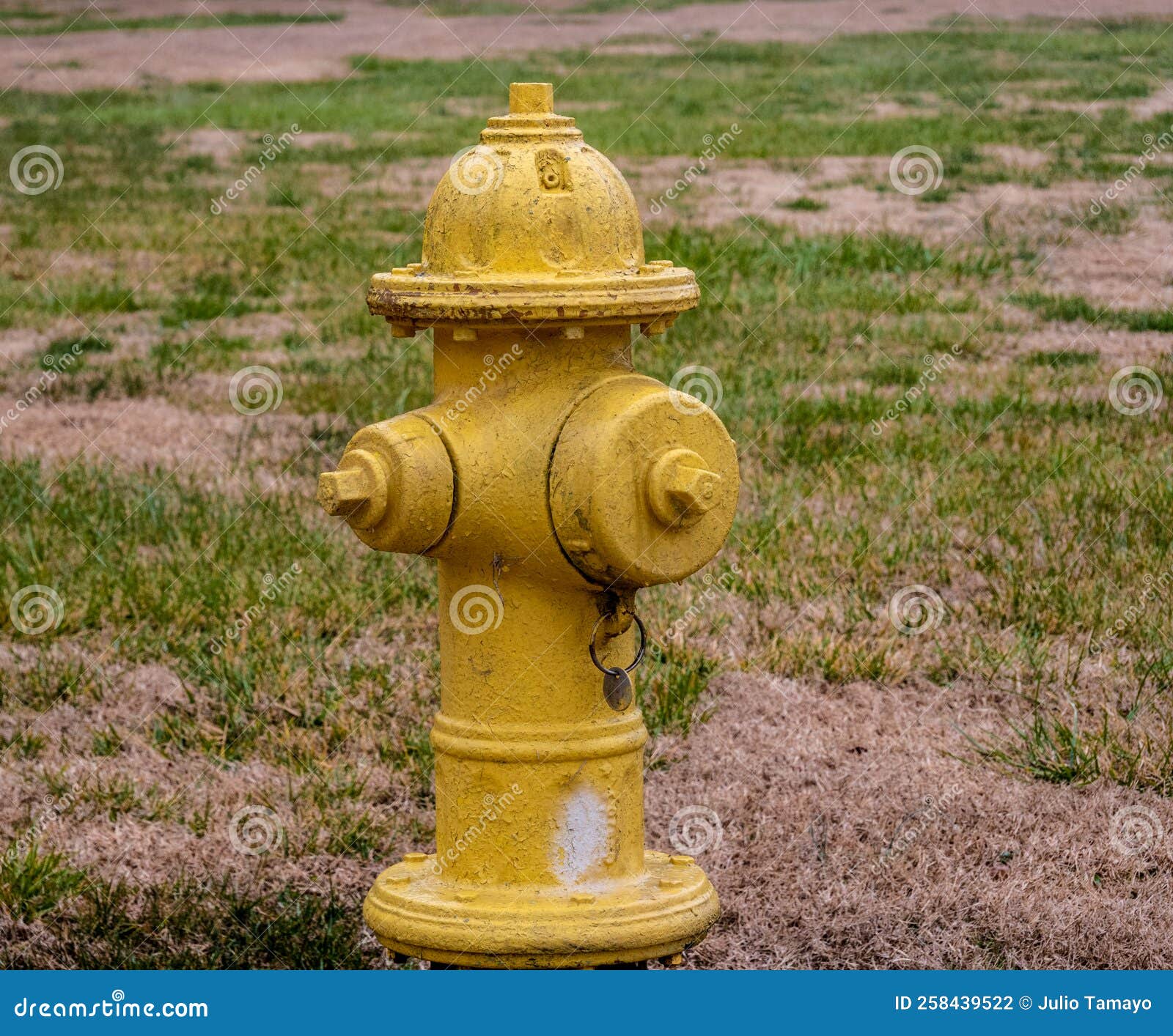 Close Up Photo of a Yellow Fire Hydrant. Stock Photo - Image of ...