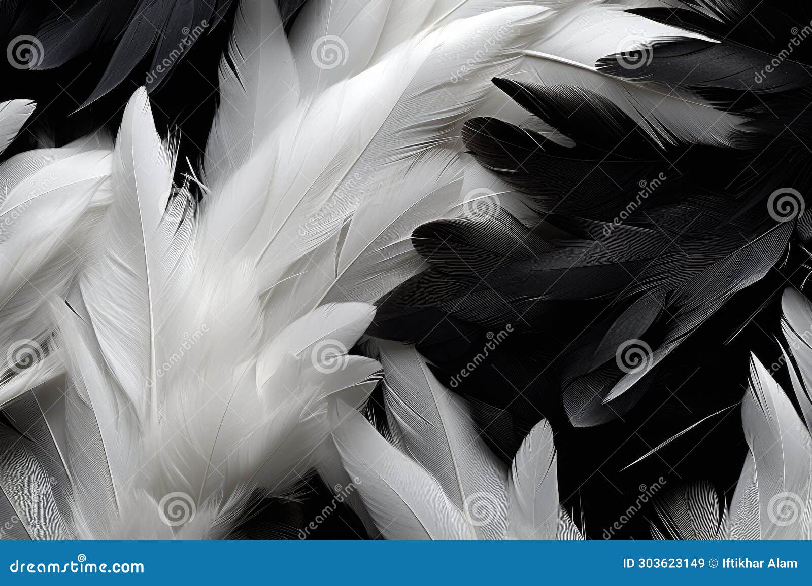 A Close-up Photograph Capturing a Stack of Black and White Feathers ...
