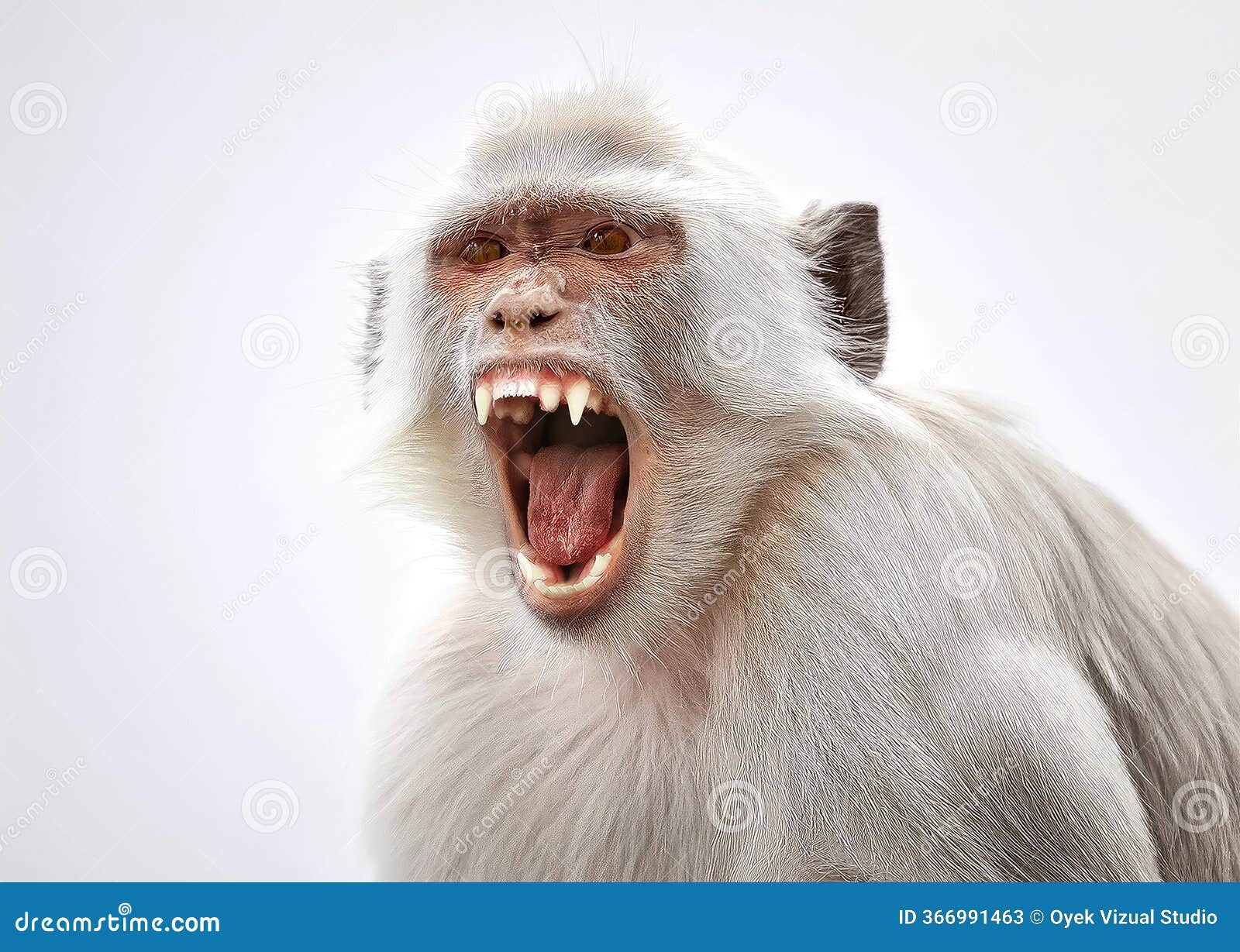 Aggressive Howler Monkey Screaming On A Tree Branch Royalty-Free Stock ...