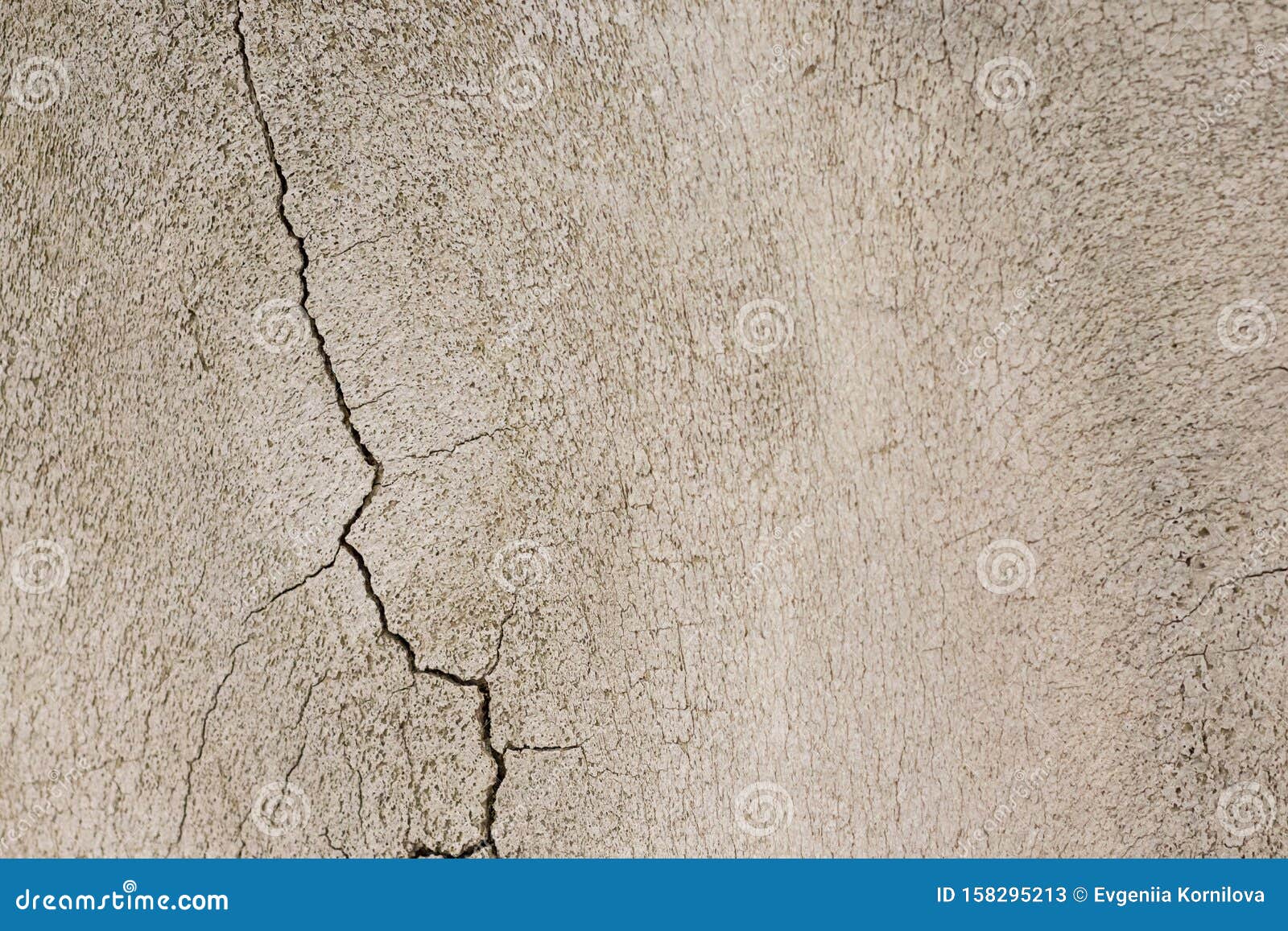 Close-up Photography of Crack on the Bone Stock Image - Image of caught ...