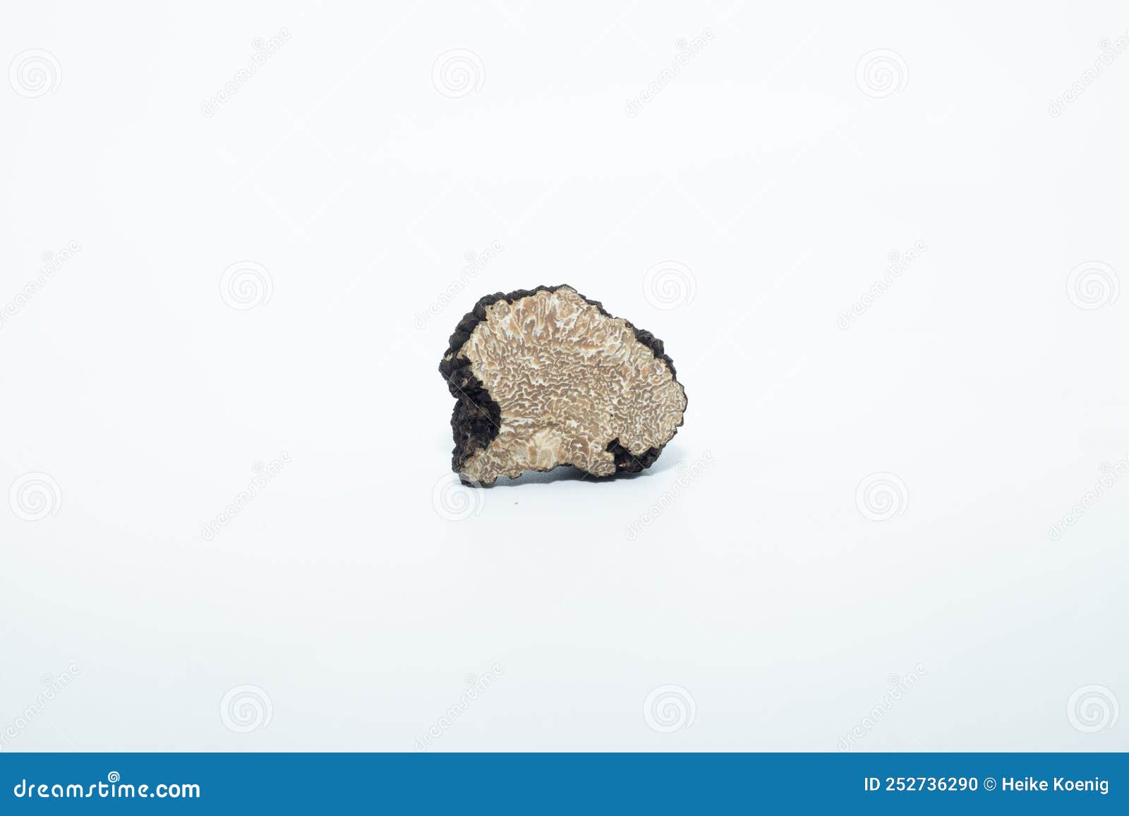 Close Up Photography the Inside of Black Truffle Stock Photo - Image of ...