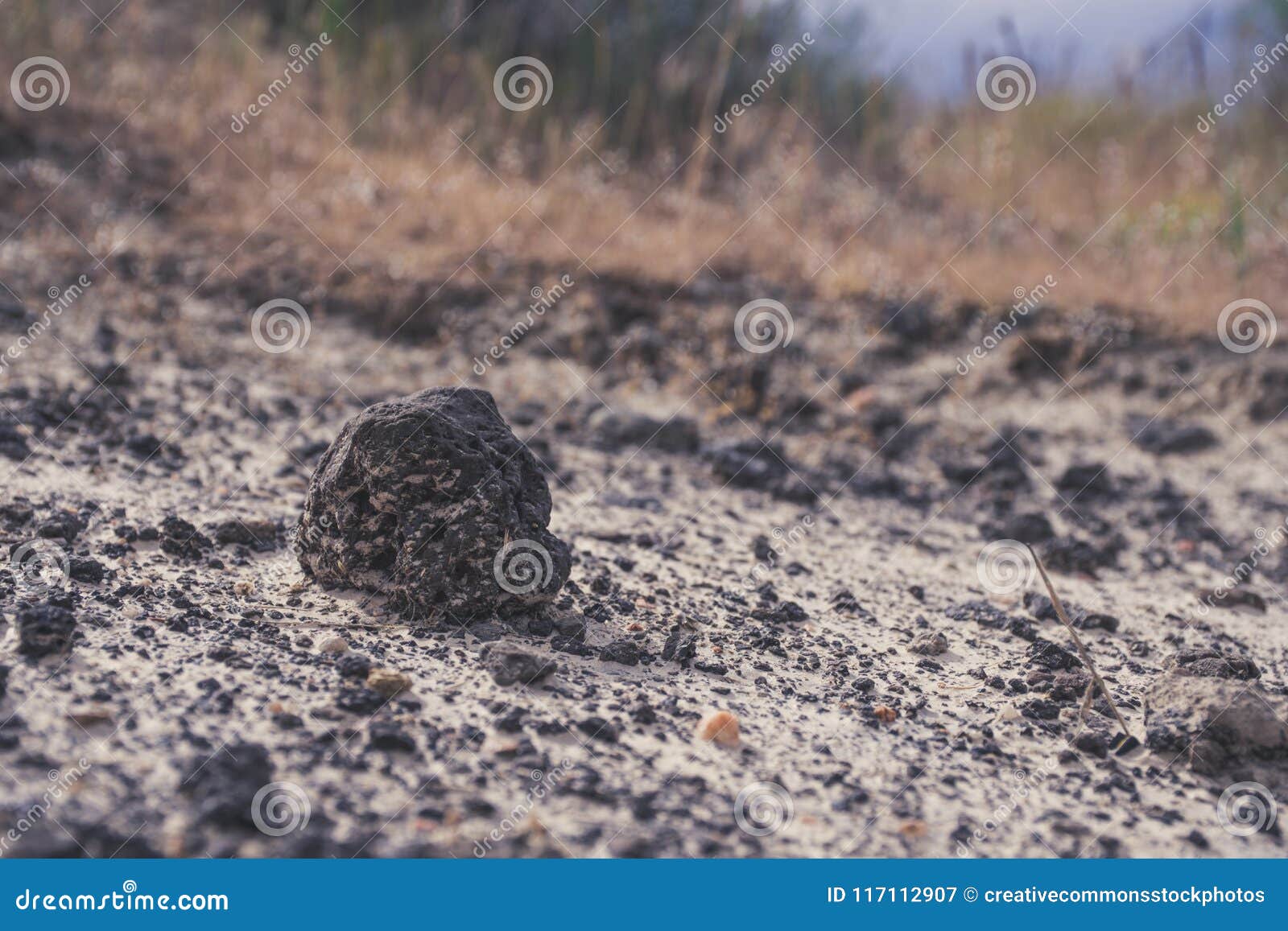 Close Up Photography Of Small Black Stone Picture. Image: 117112907