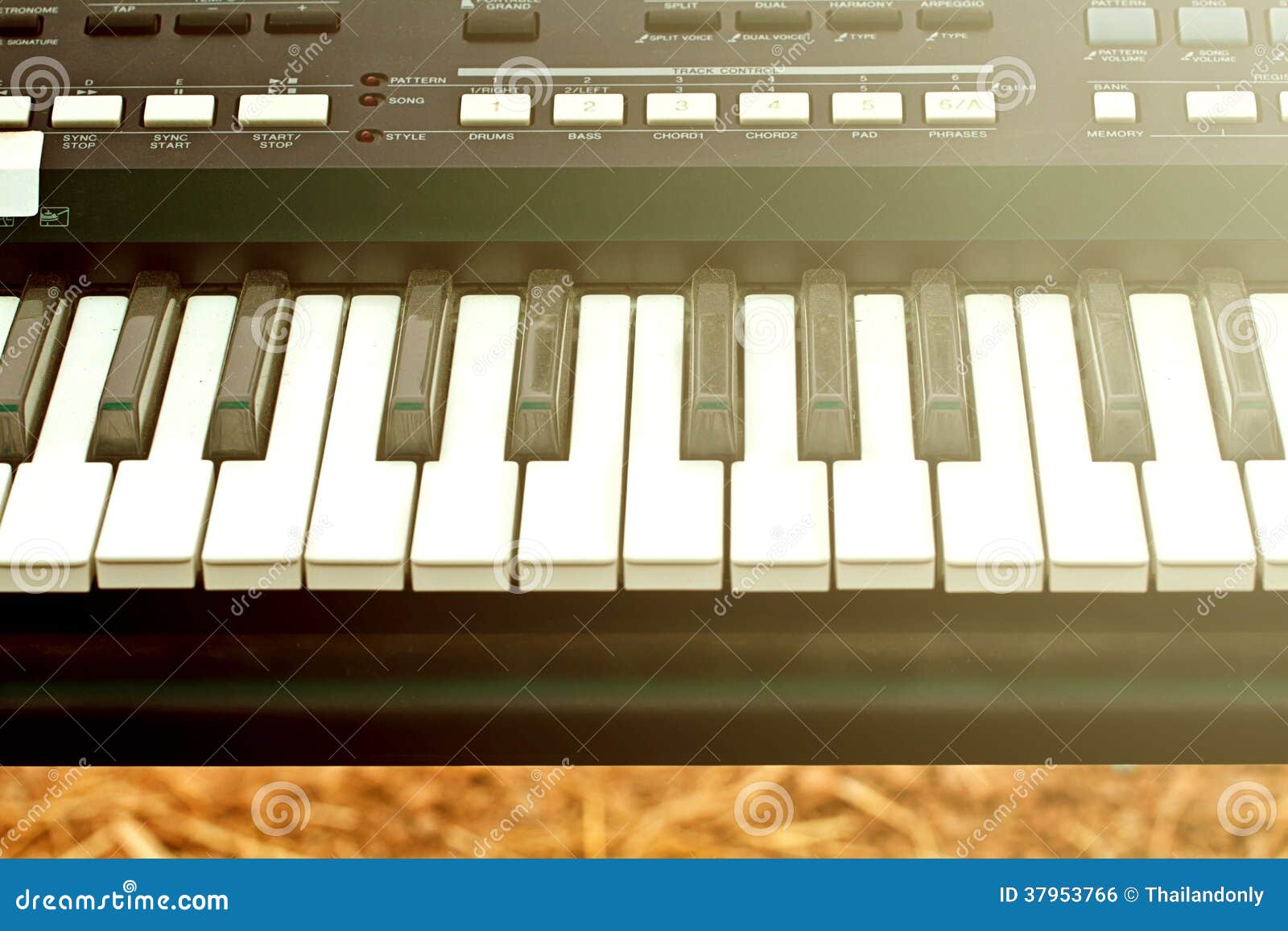 Close Up of Piano Key, Front View Stock Photo - Image of sound, concert ...