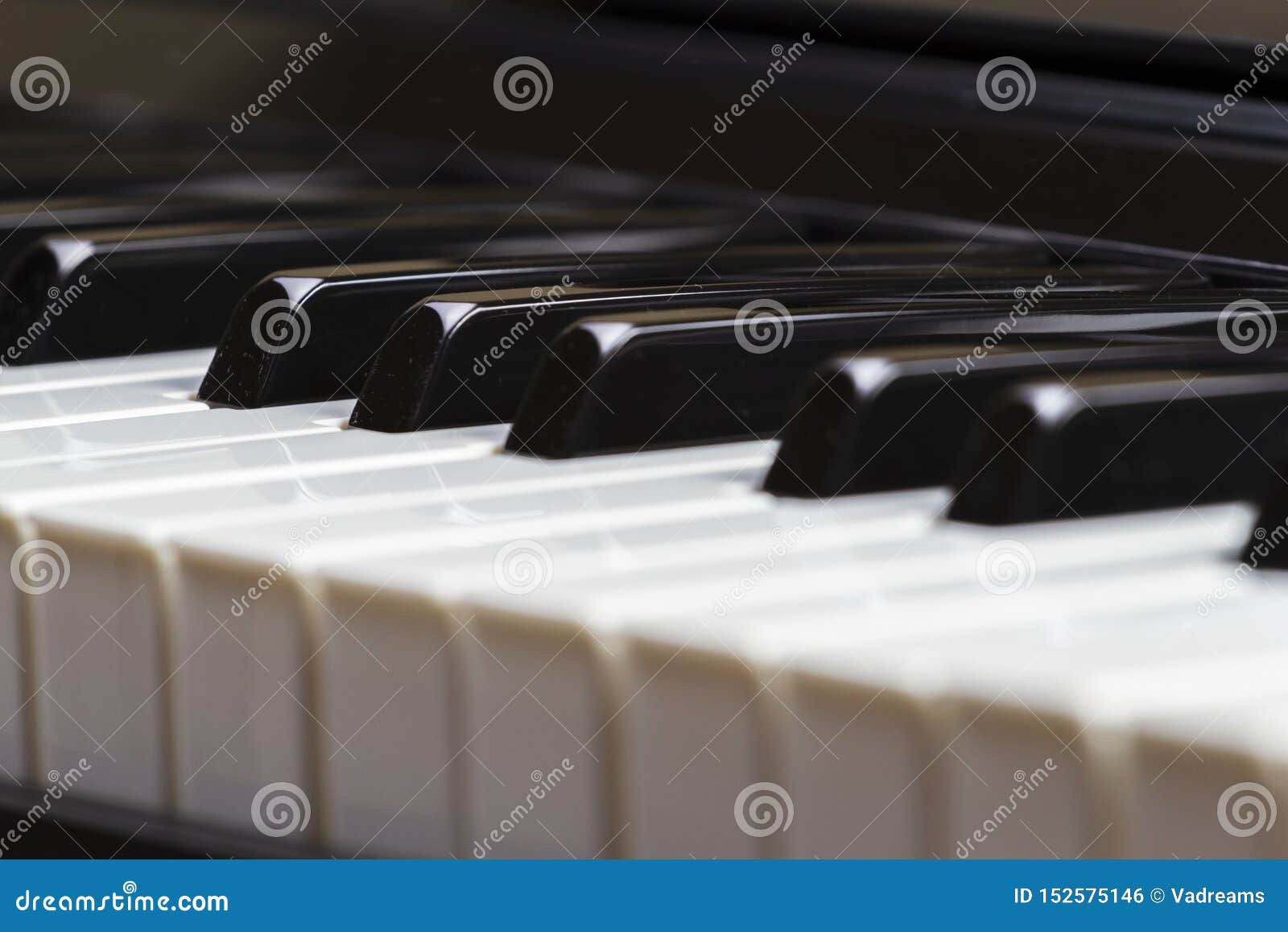 Close Up of Piano Keyboard Keys Stock Photo - Image of musician ...
