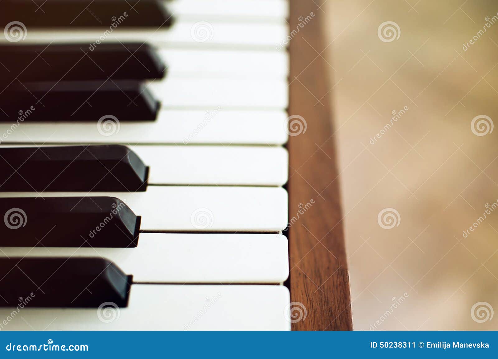 Close-up of Piano Keys. Close Frontal View Stock Image - Image of ...