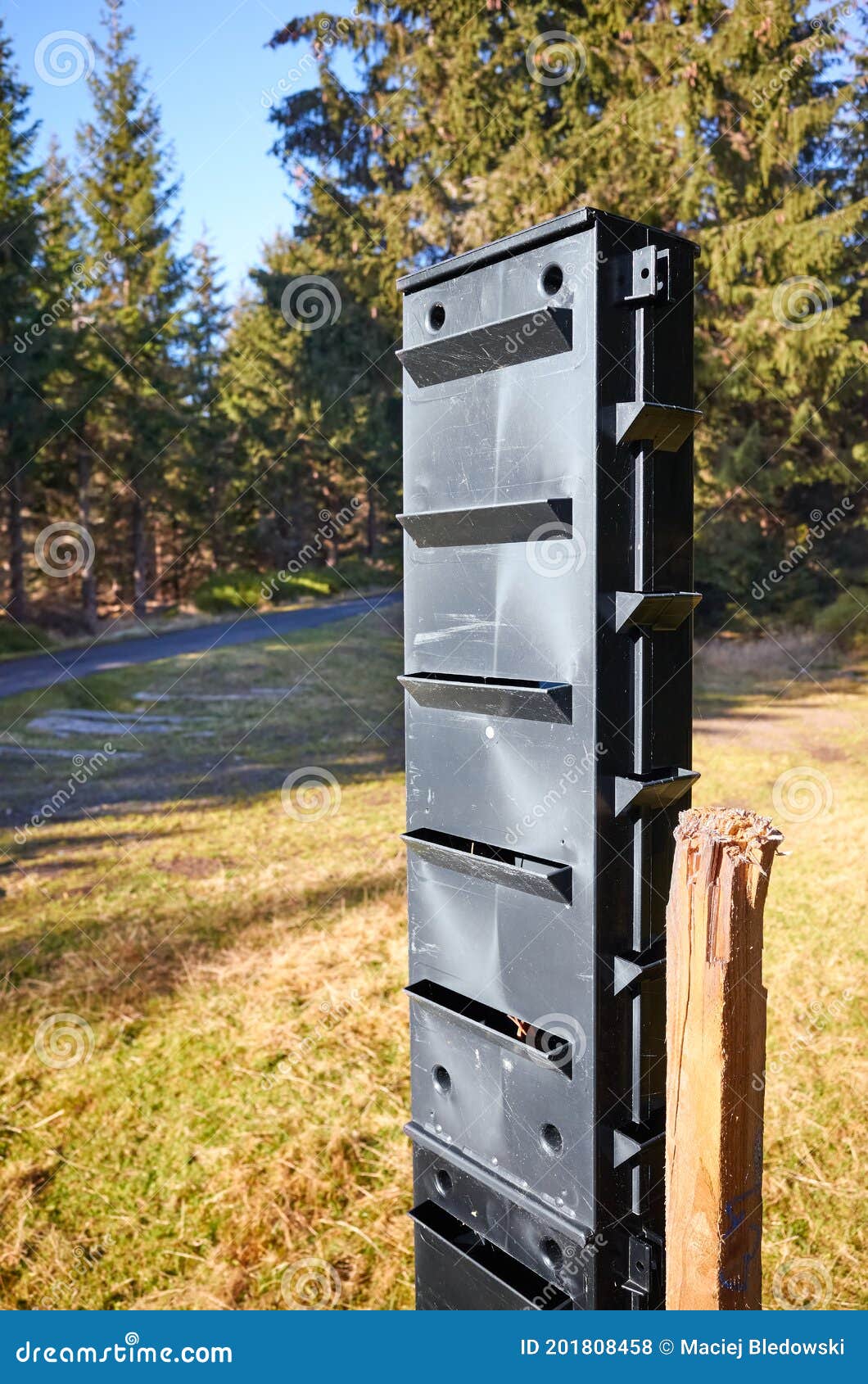 Close Up Picture of Bark Beetle Pheromone Trap in Forest Stock Photo ...