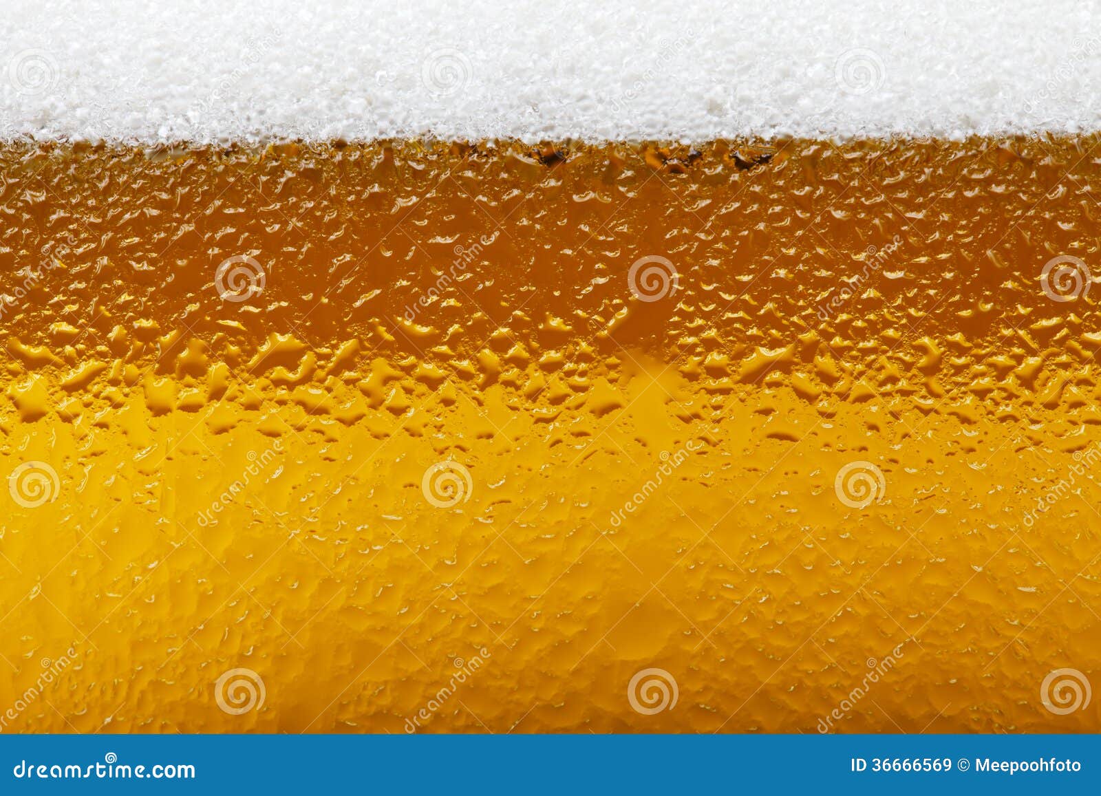 Close-up Picture of a Beer with Foam and Bubbles Stock Image - Image of ...