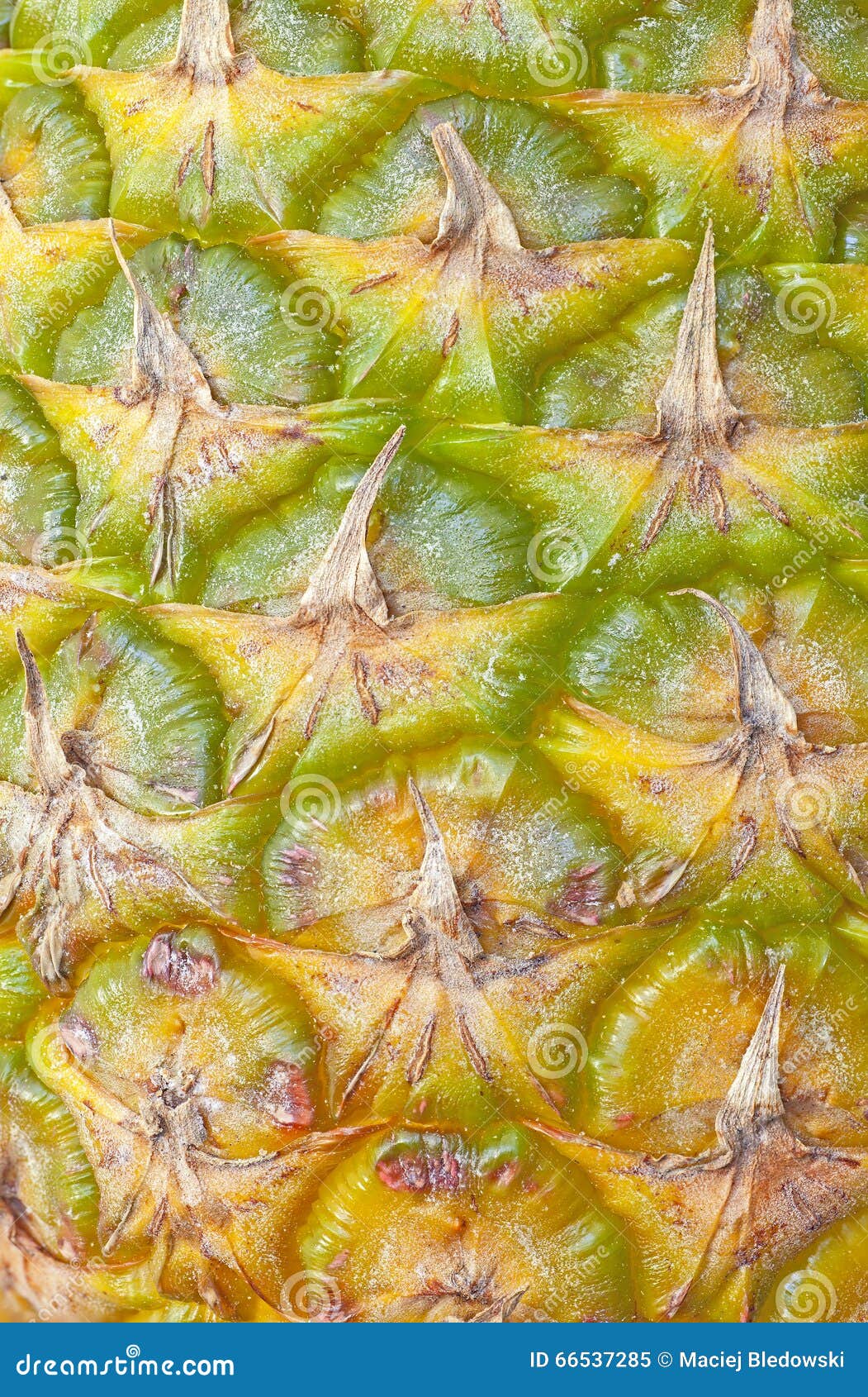 Close Up Picture of a Fresh Pineapple Skin Stock Image - Image of ...