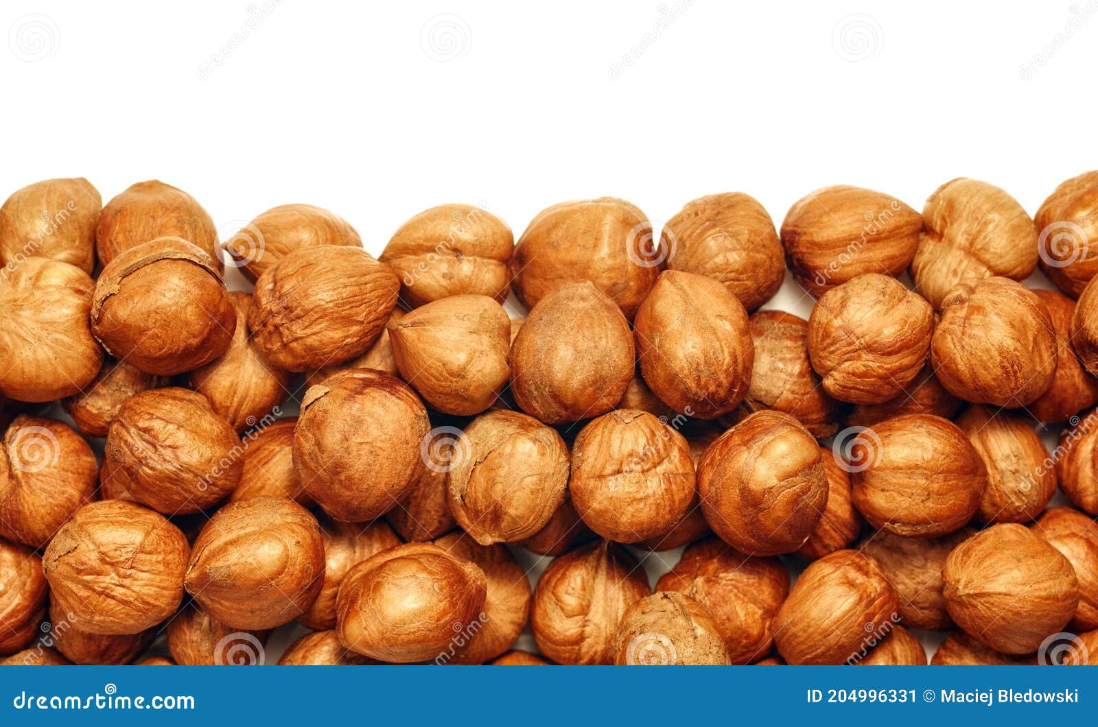Close Up Picture of Hazelnuts Isolated on White Background Stock Image ...