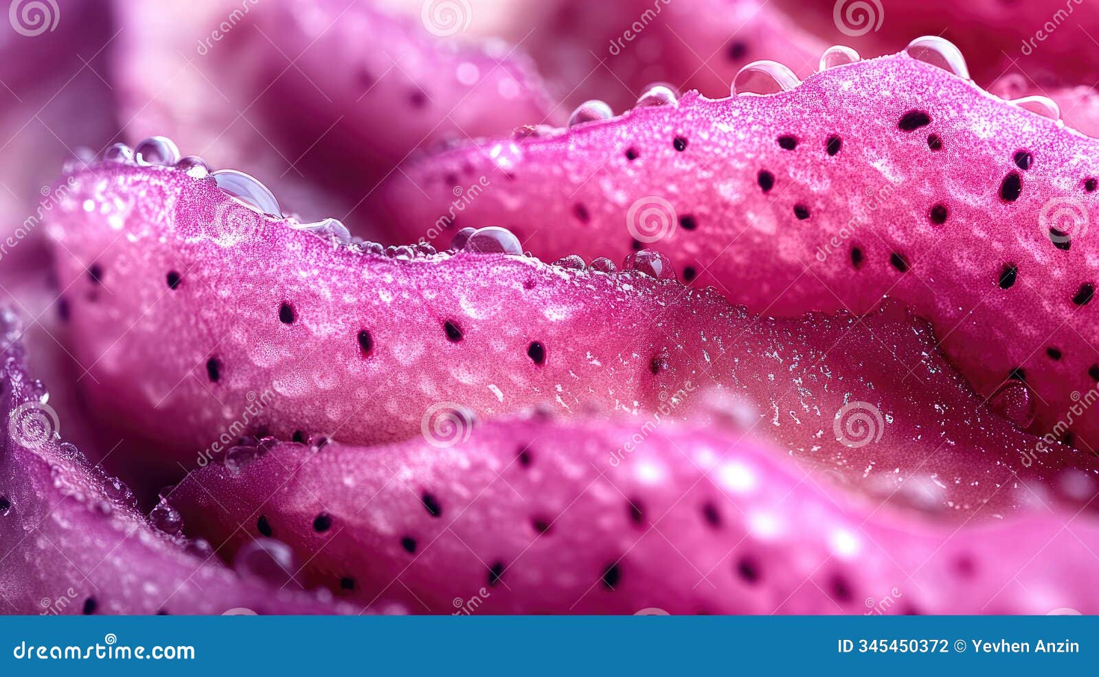 Texture Details Of Pandanus Leaves. Close Up Details Of Pandanus Leaves ...