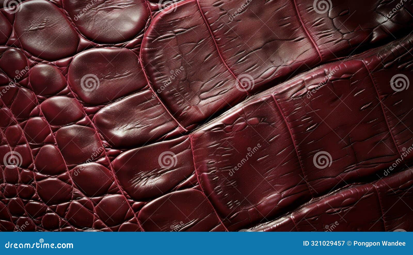 Close-up of a Piece of Red Crocodile Leather Showing Its Bumpy ...