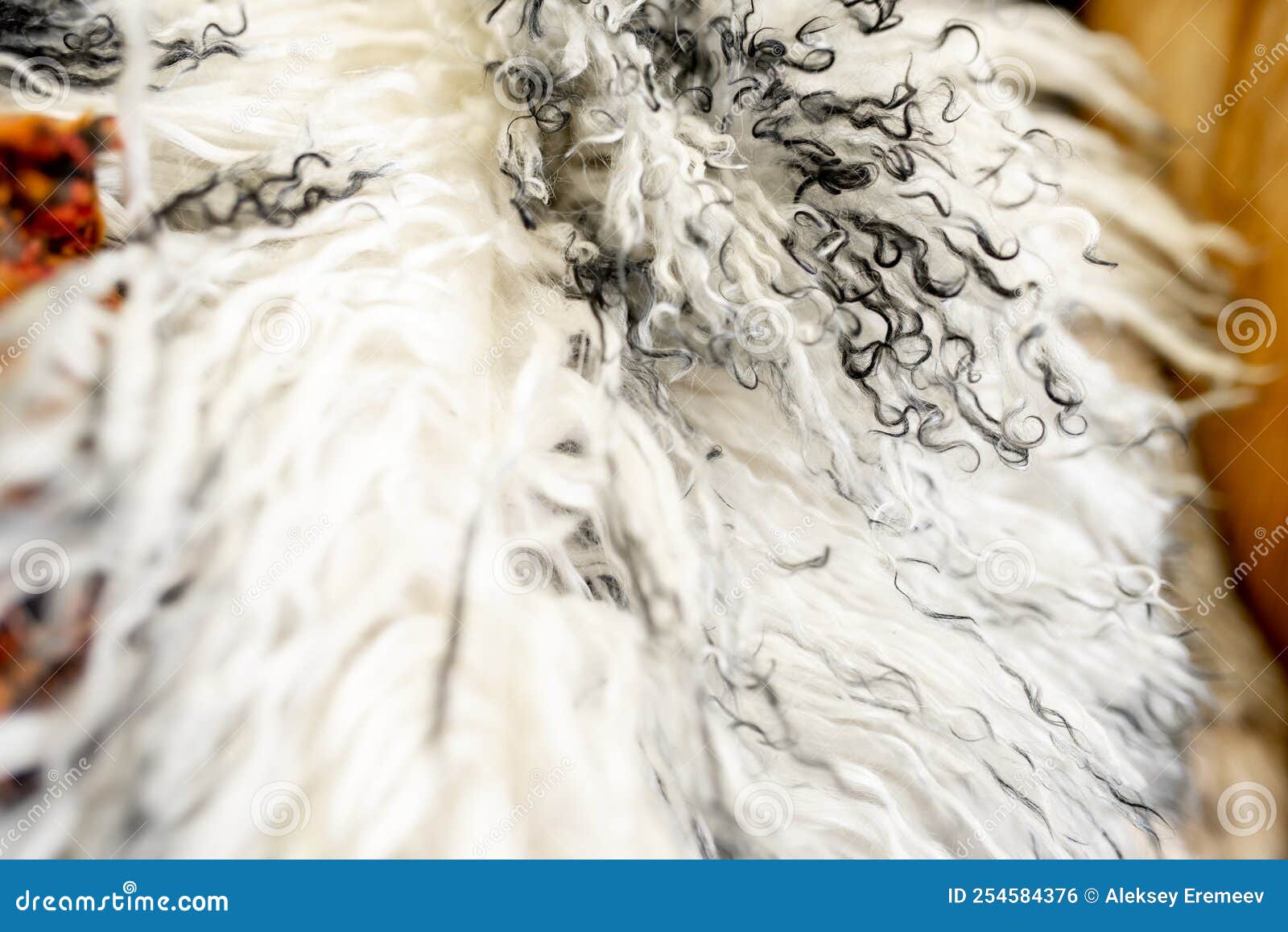 Close-up of Pieces of Gray Wool for the Whole Frame Stock Photo - Image ...