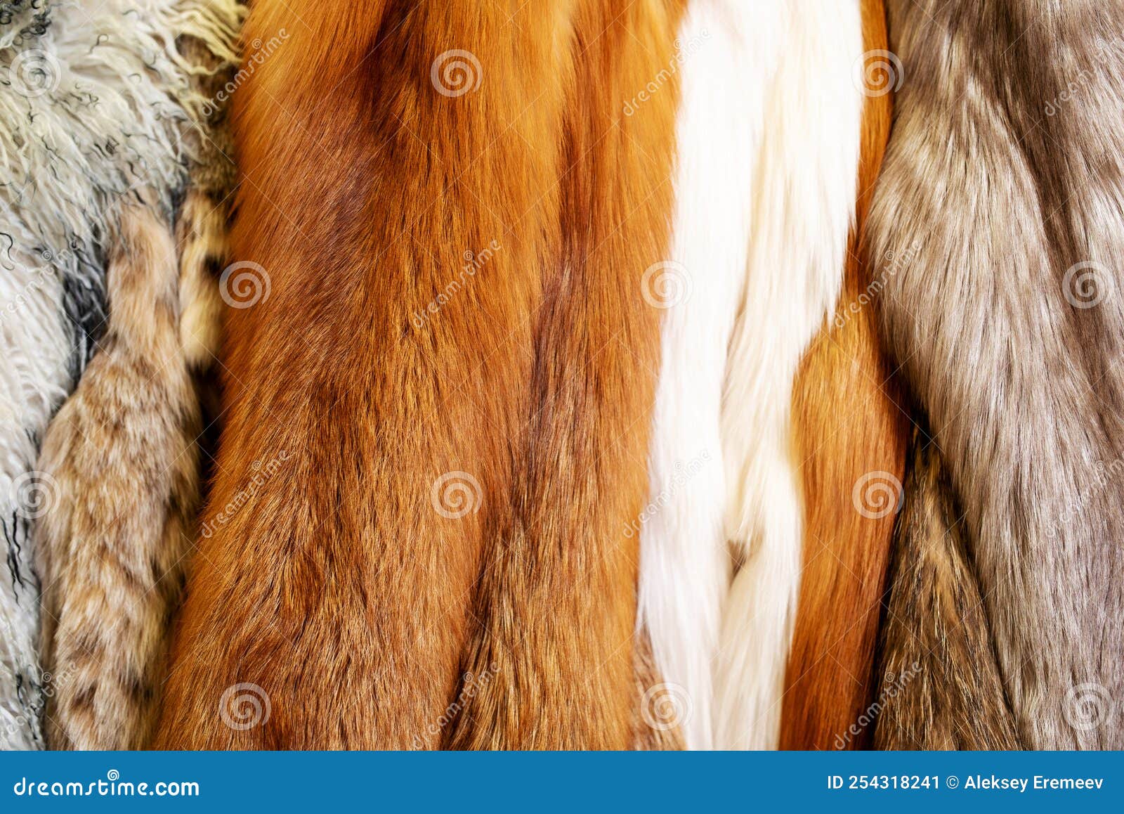 Close-up of Pieces of Wool of Different Colors for the Whole Frame ...