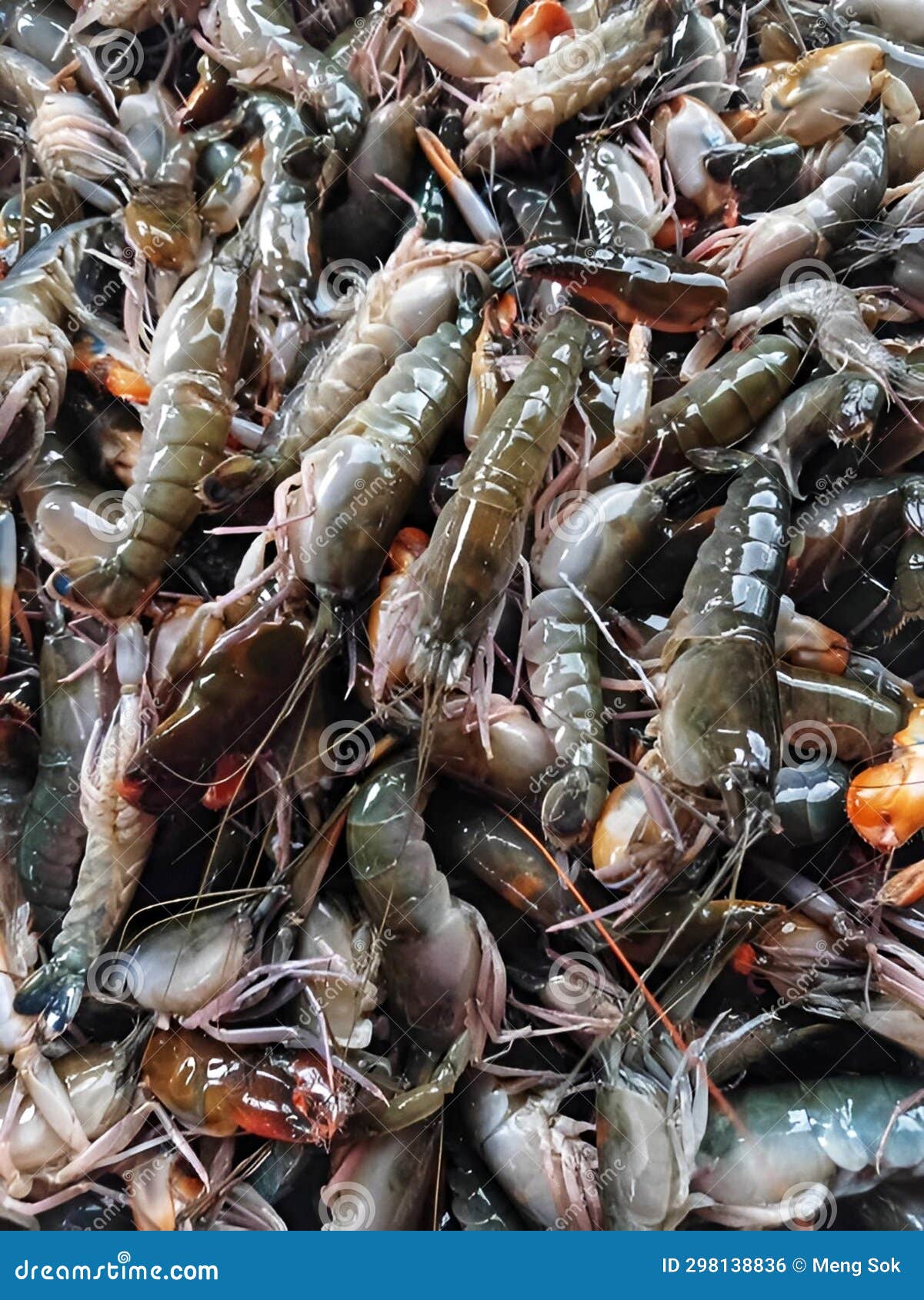 A Close Up of a Pile of Blue Shrimp Sitting on Top of a Table. Stock ...
