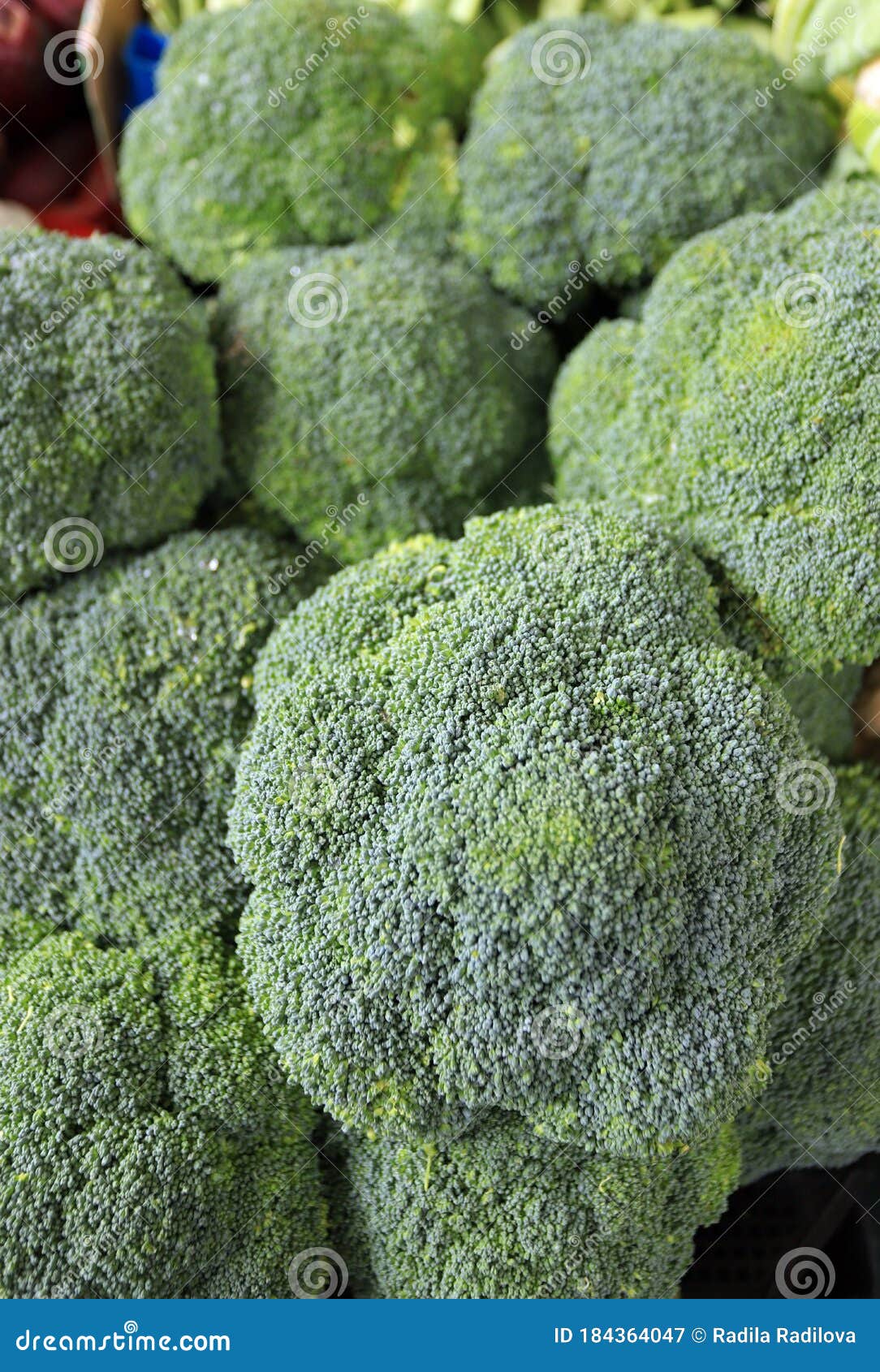 Close Up of Pile of Broccoli. Broccoli Vegetable Texture Stock Image ...