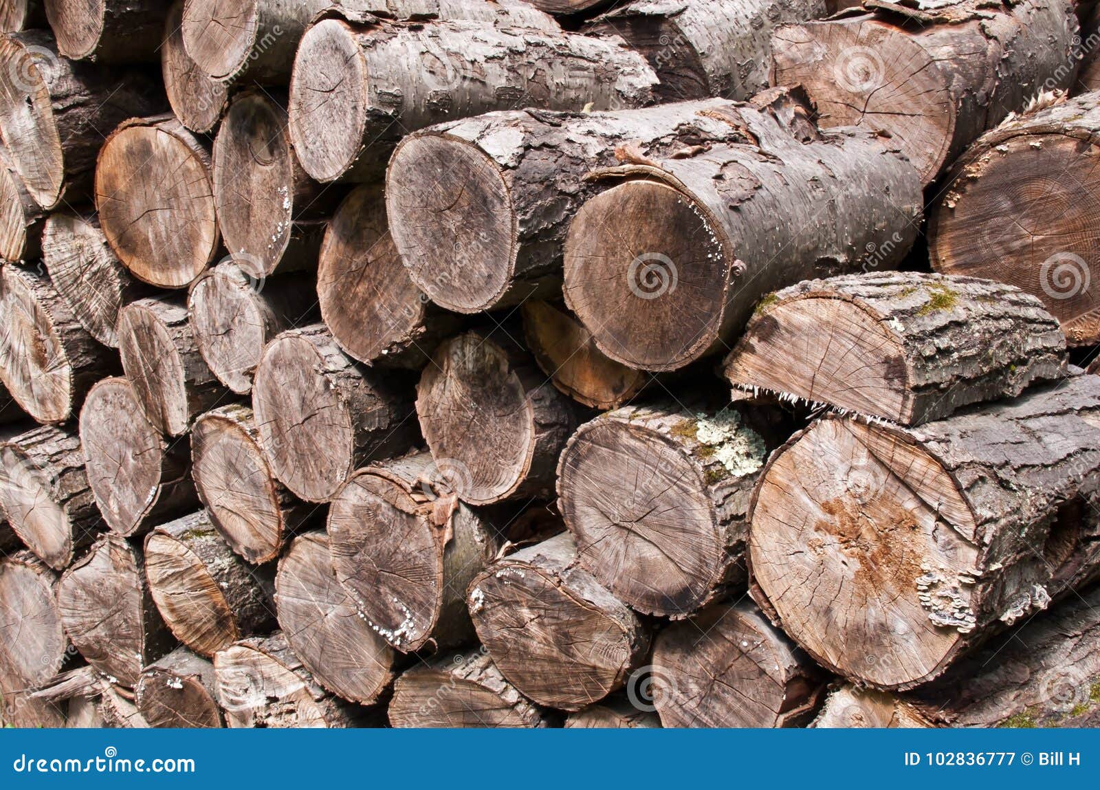 Stacked cut logs stock image. Image of brown, heat, abstract - 102836777