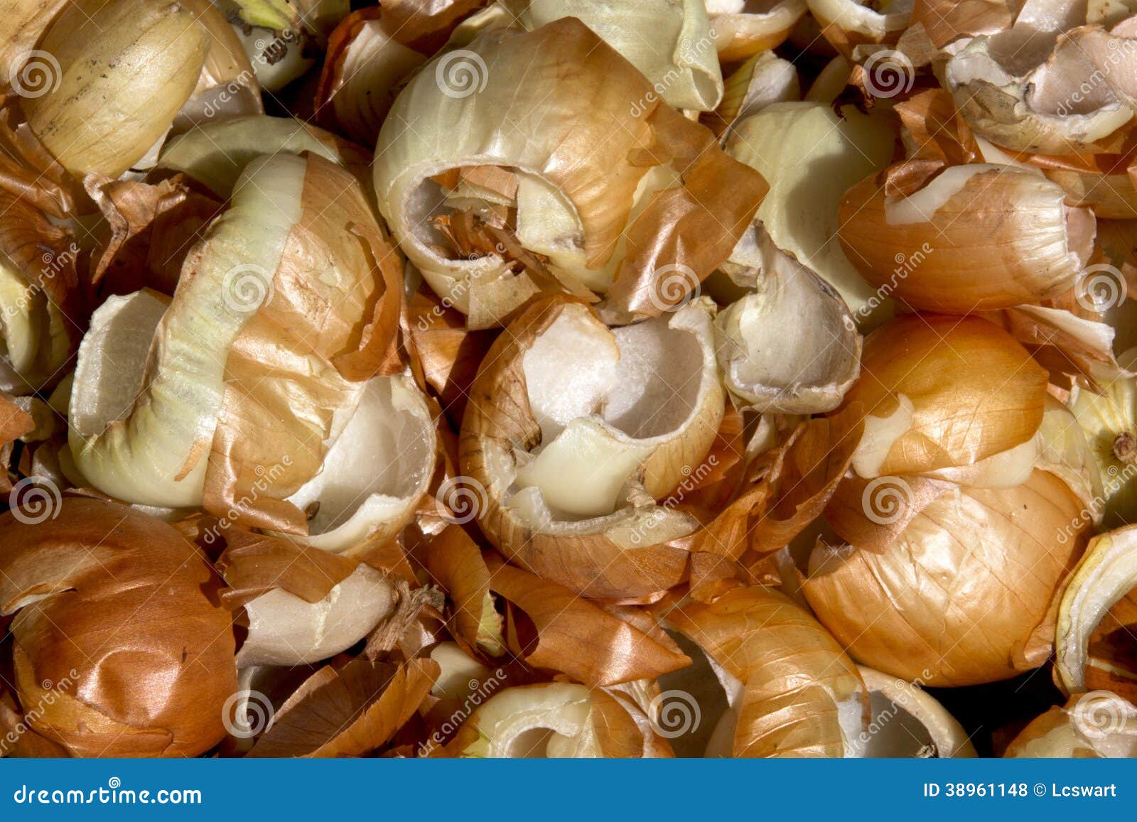 Close Up Pile of Discarded Onion Peels Stock Photo - Image of abstract ...