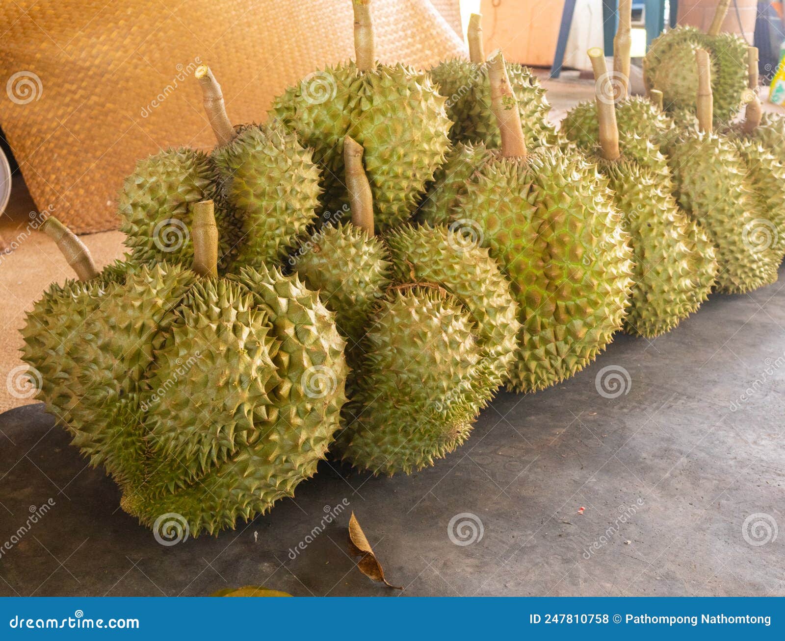 Pile Fresh Durian Ready for Harvest Stock Photo - Image of organic ...