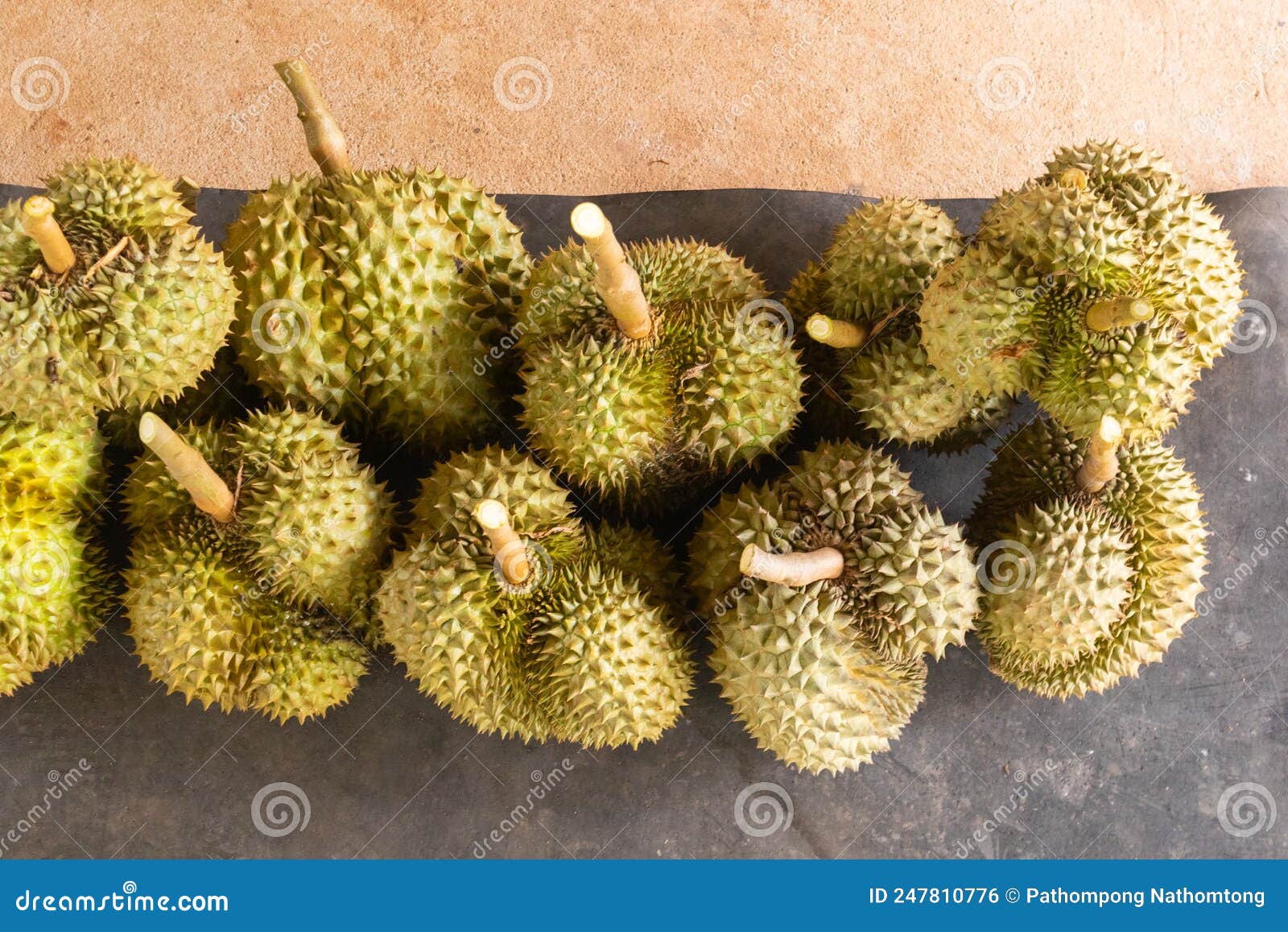 Pile Fresh Durian Ready for Harvest Stock Photo - Image of plant ...