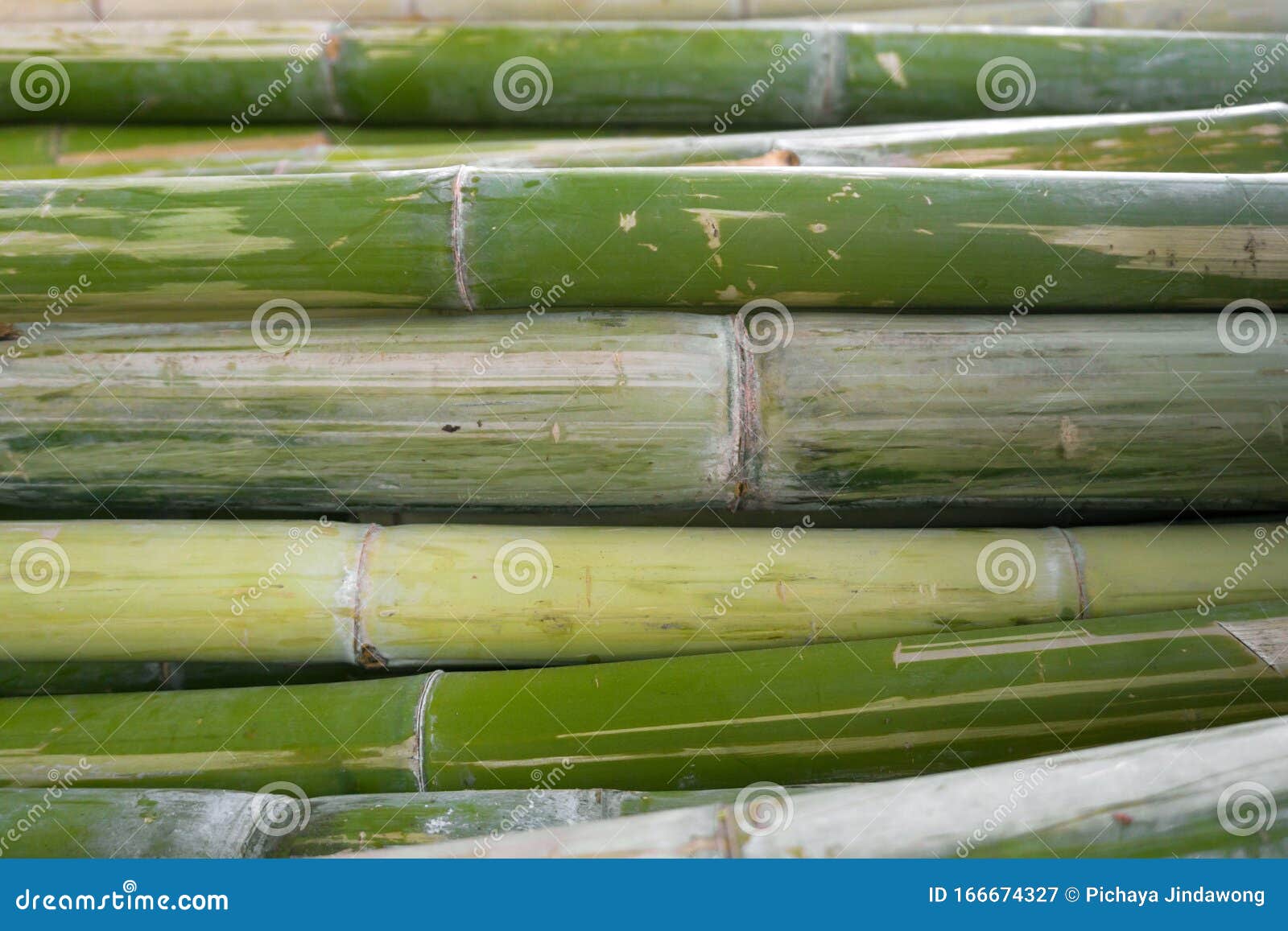 Close Up Pile of Green Bamboo Stick Stock Image - Image of pile ...
