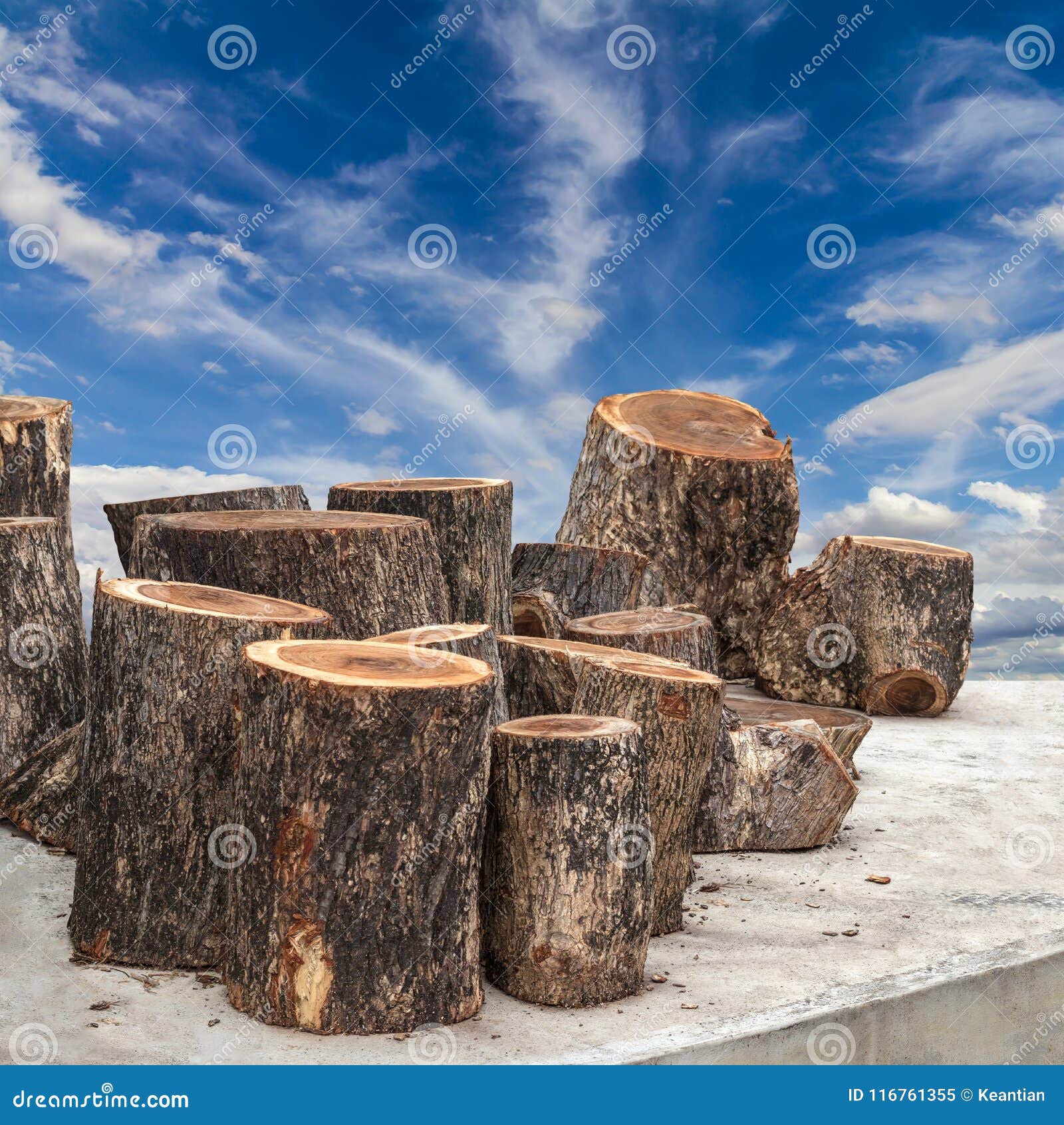 Timber Logs with Cloud and Sky. Stock Image - Image of rural, material ...