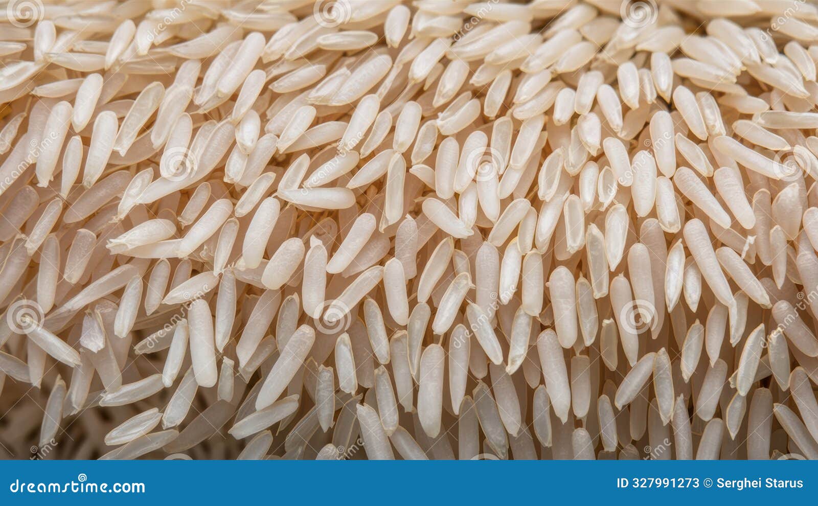 A Close Up of a Pile of Rice Grains with White Tips, AI Stock Image ...