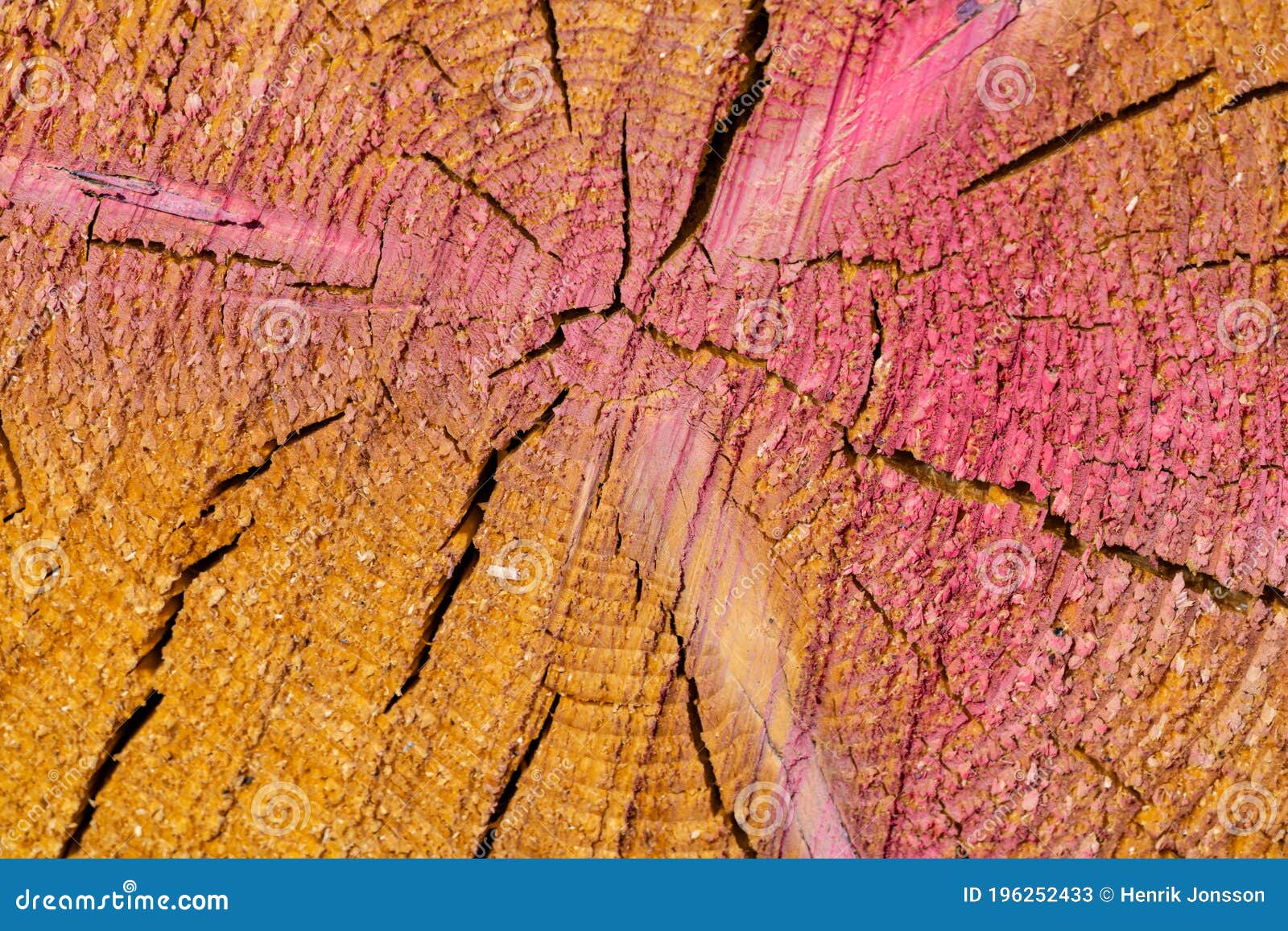 Age Rings on a Cut Piece of Pine Timber Stock Image - Image of timber ...