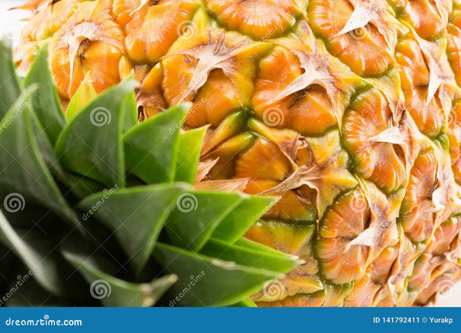 Close up of pineapple stock image. Image of vegetable - 141792411