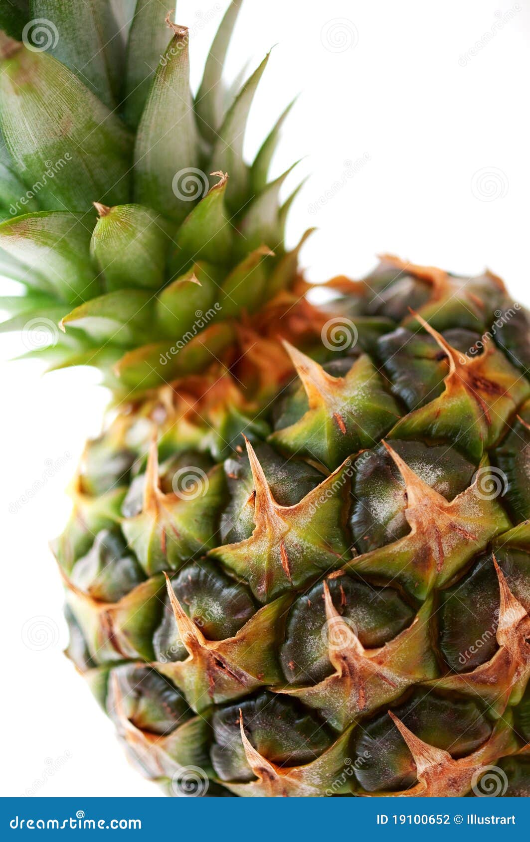 Close-up pineapple stock photo. Image of tropical, plant - 19100652