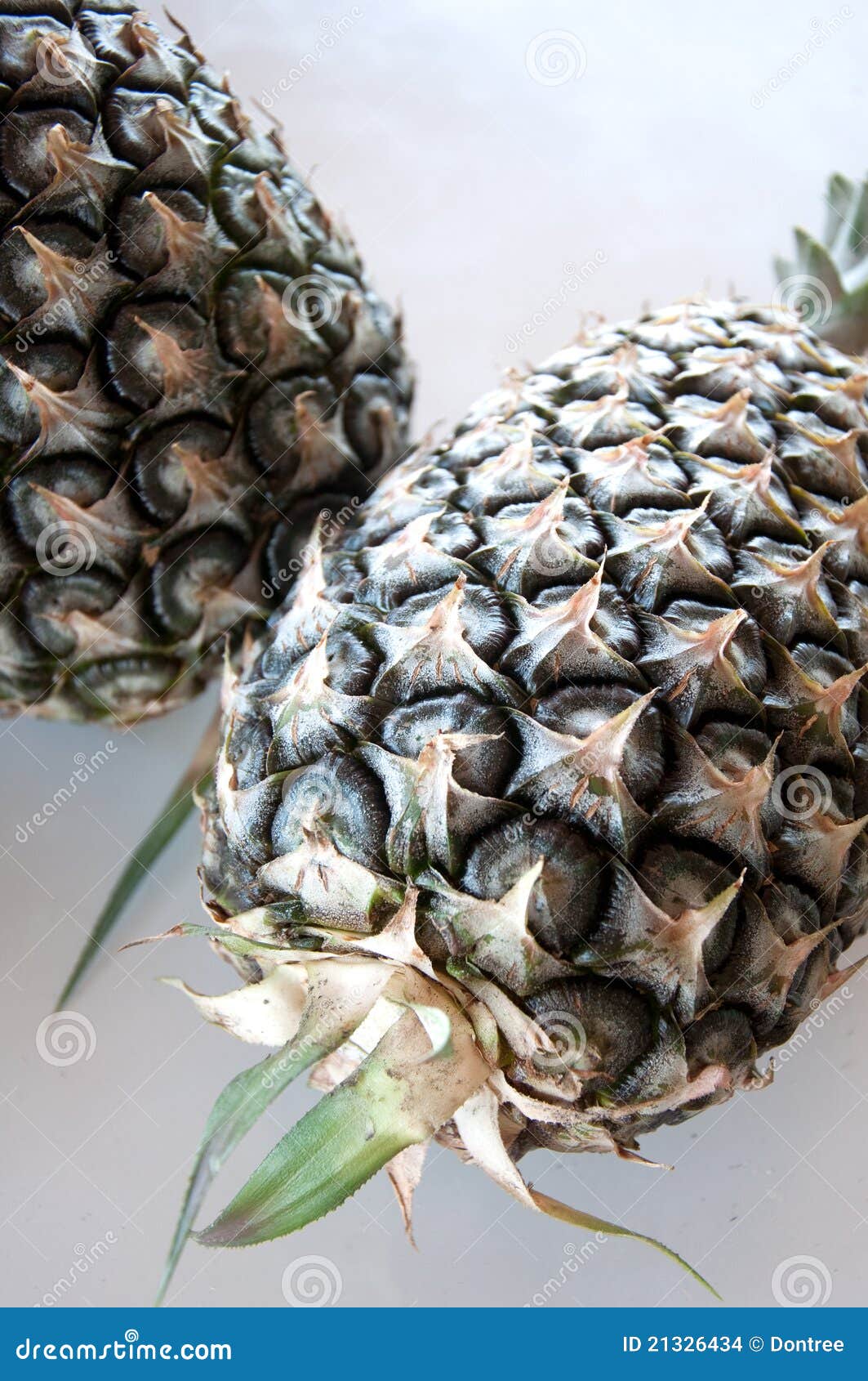 Close up pineapple stock photo. Image of sweet, tropical - 21326434