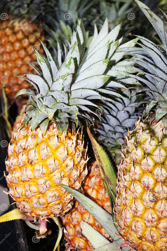 Pineapple Fruit Close Up Image Stock Image - Image of juice, nature ...