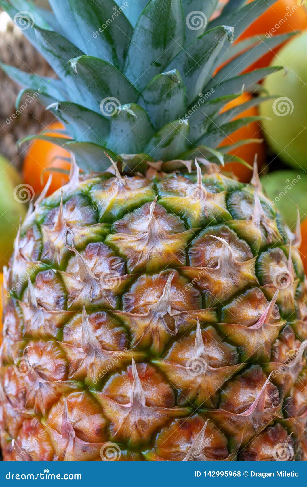 Close-up of Pineapple with Green Leaves Stock Photo - Image of scented ...