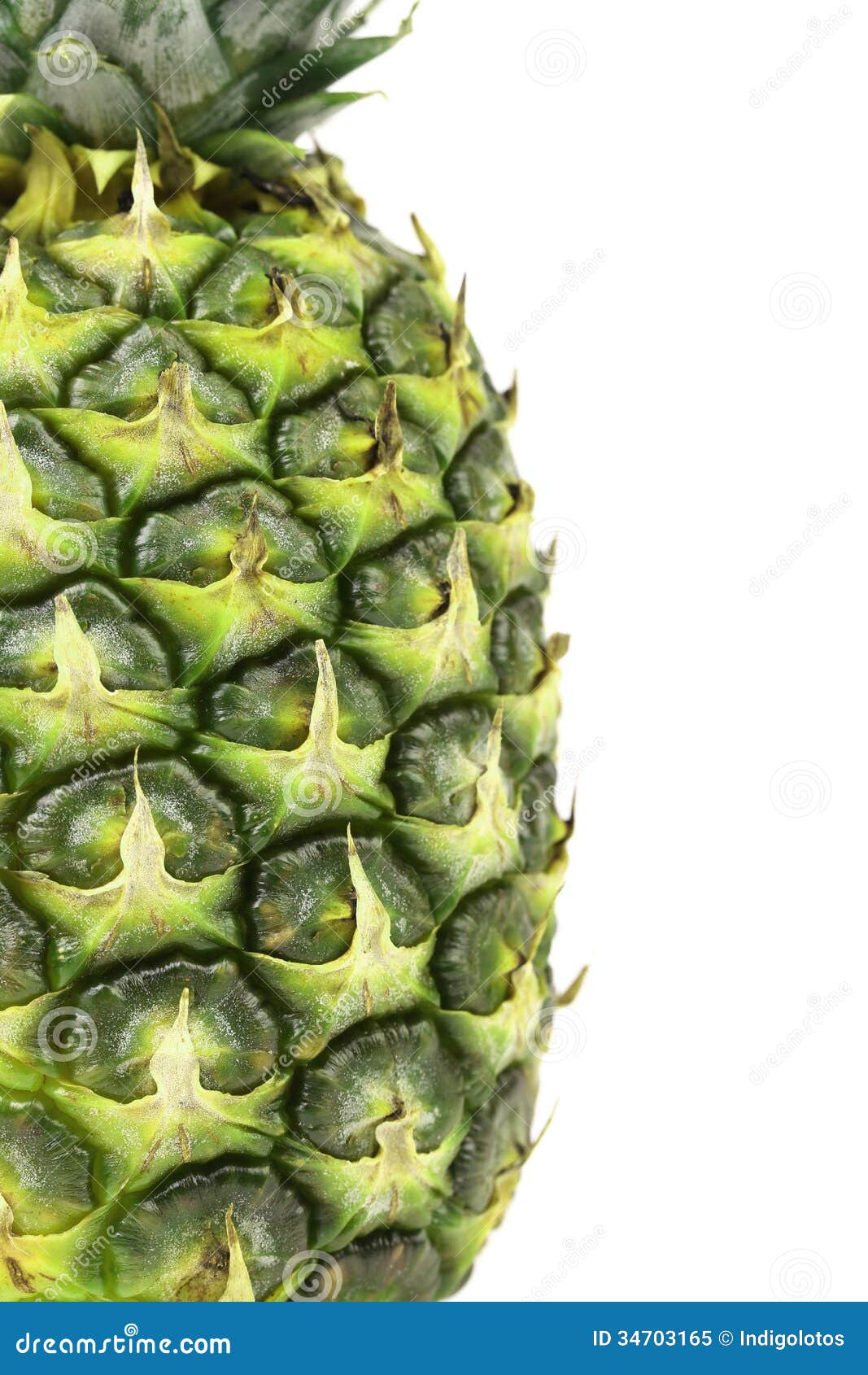 Close up of a pineapple. stock image. Image of fruit - 34703165